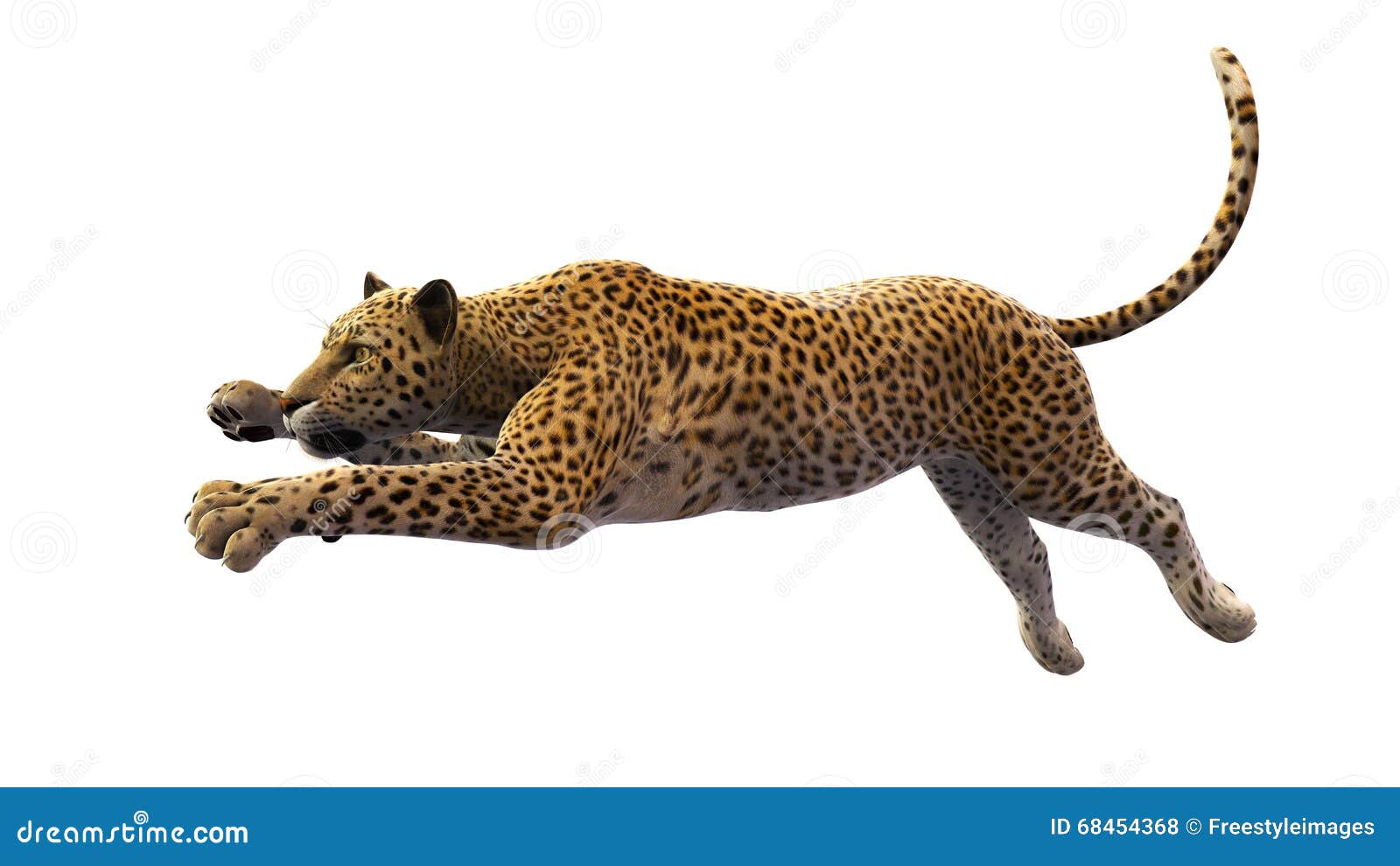 Animal Leaping Stock Illustrations – 1,686 Animal Leaping Stock ...