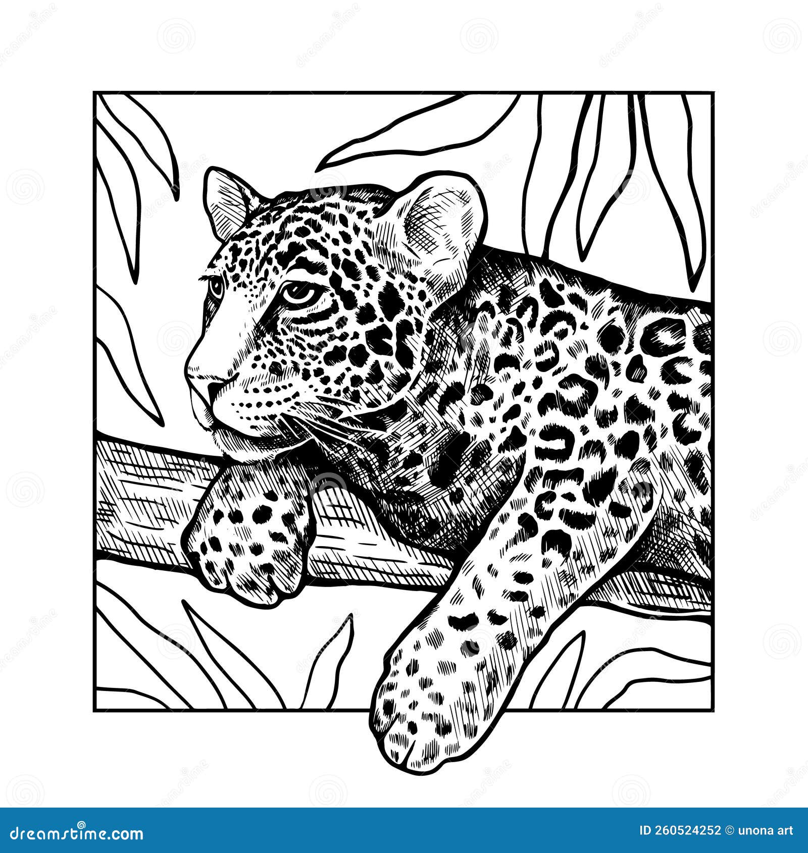The Leopard Lies On A Tree Branch. Graphic Black And White Hand-drawn ...