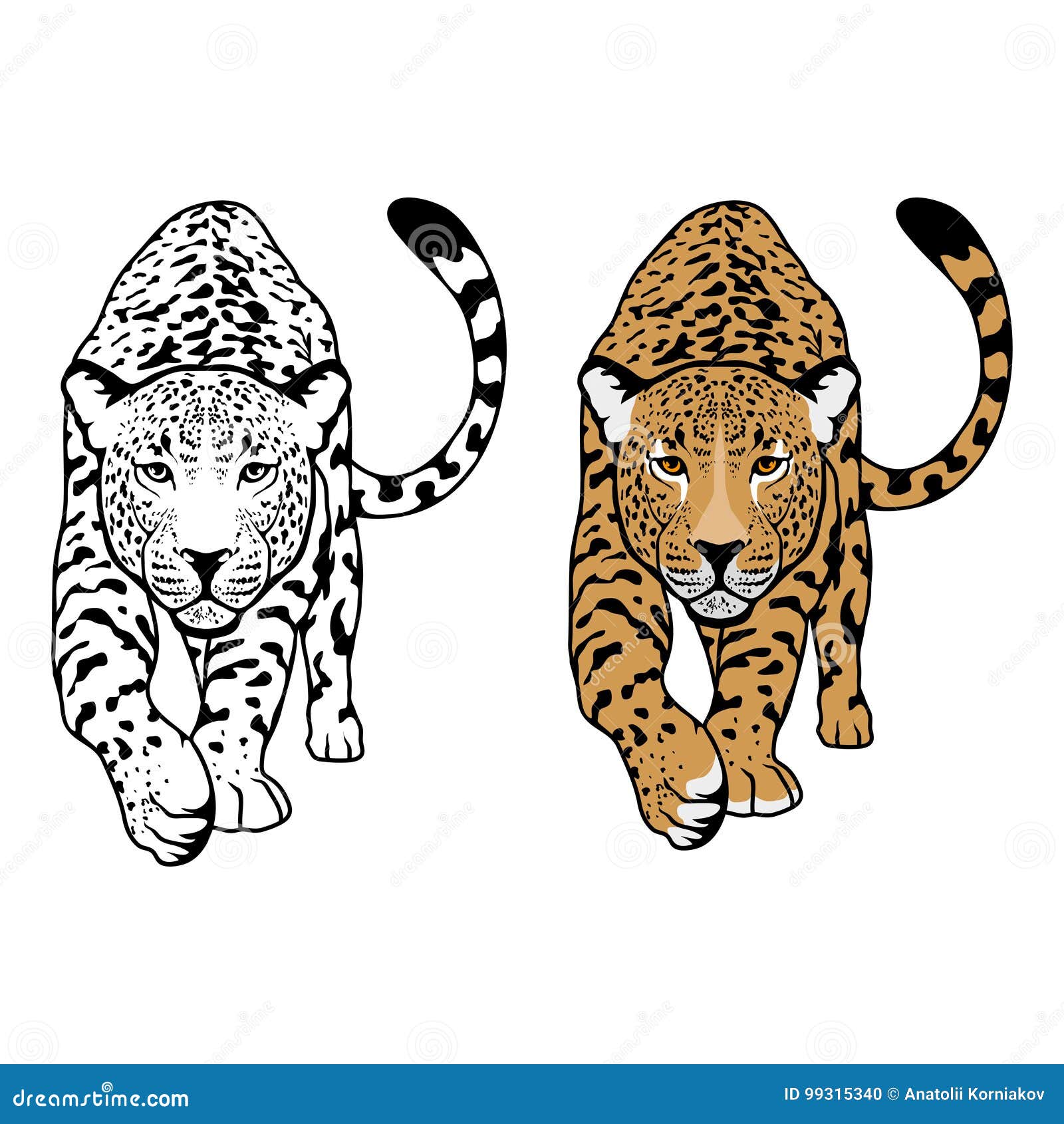 Leopard logo stock vector. Illustration of leopard, portrait - 99315340
