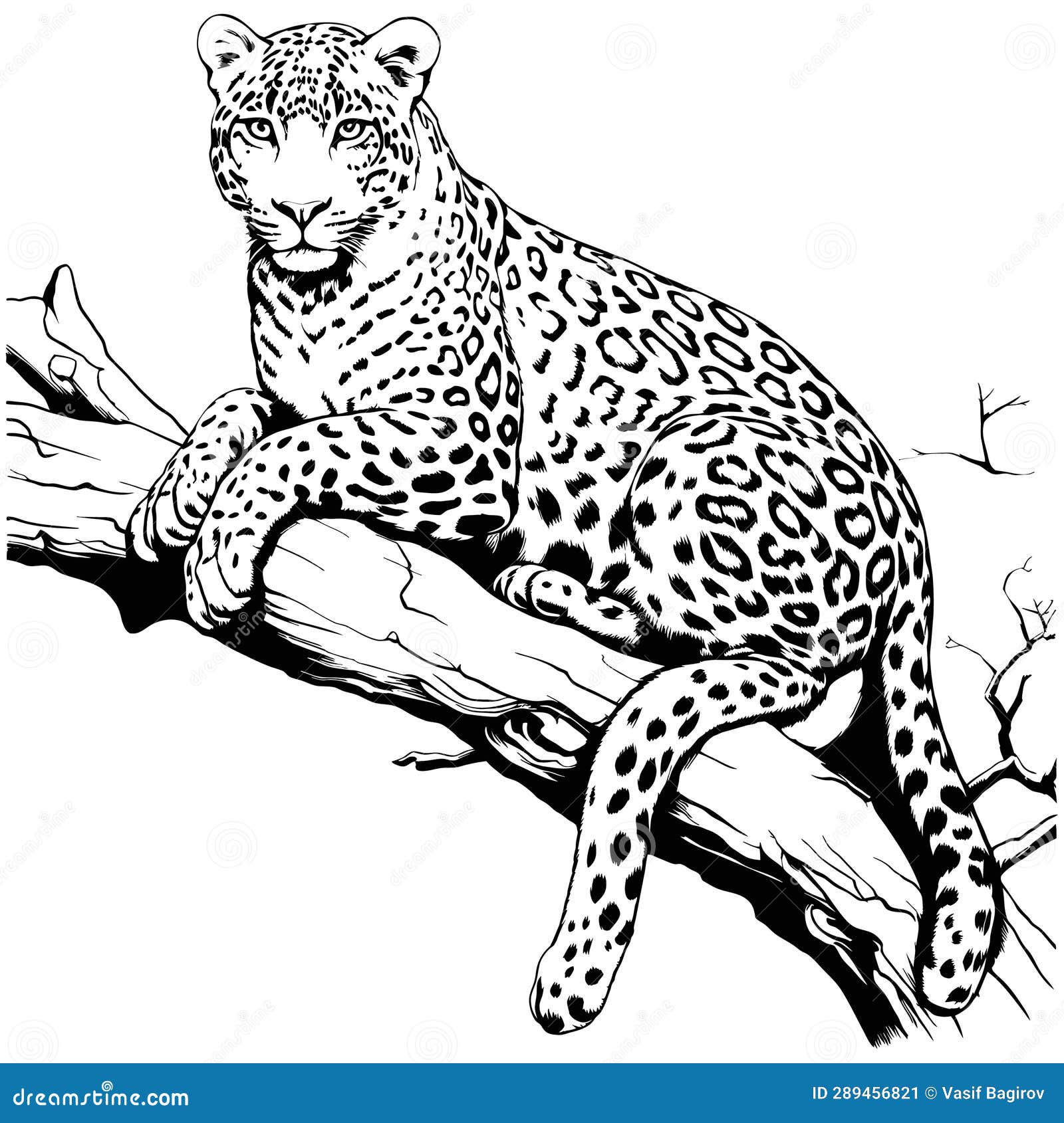 Leopard Lying on a Tree Branch Line Art. Ai Generated Illustration ...