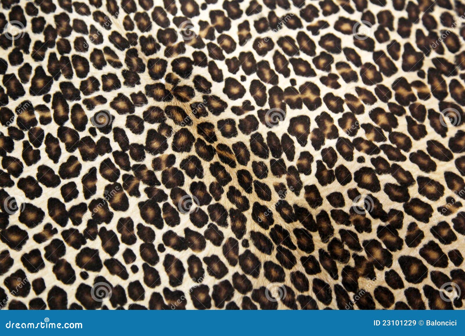 Leopard pattern stock image. Image of safari, style, print - 23101229