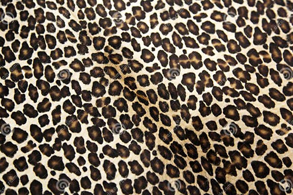 Leopard pattern stock image. Image of safari, style, print - 23101229