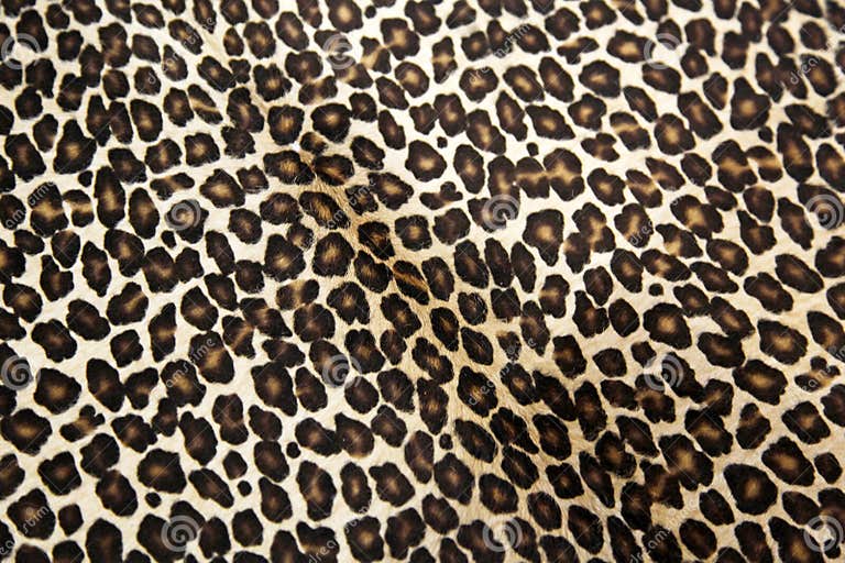 Leopard pattern stock image. Image of safari, style, print - 23101229