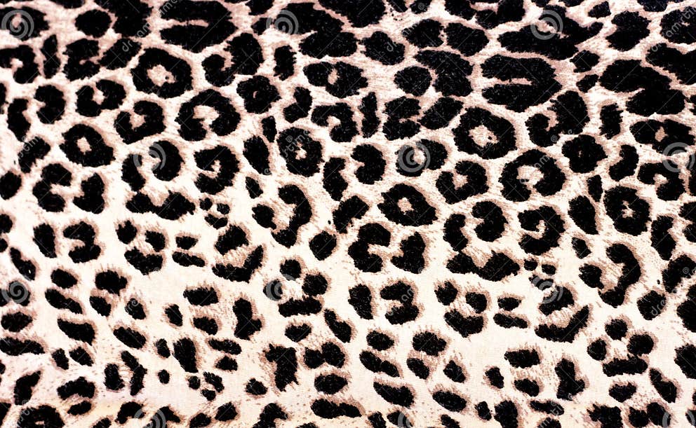Leopard Pattern stock photo. Image of design, fashion - 25263130
