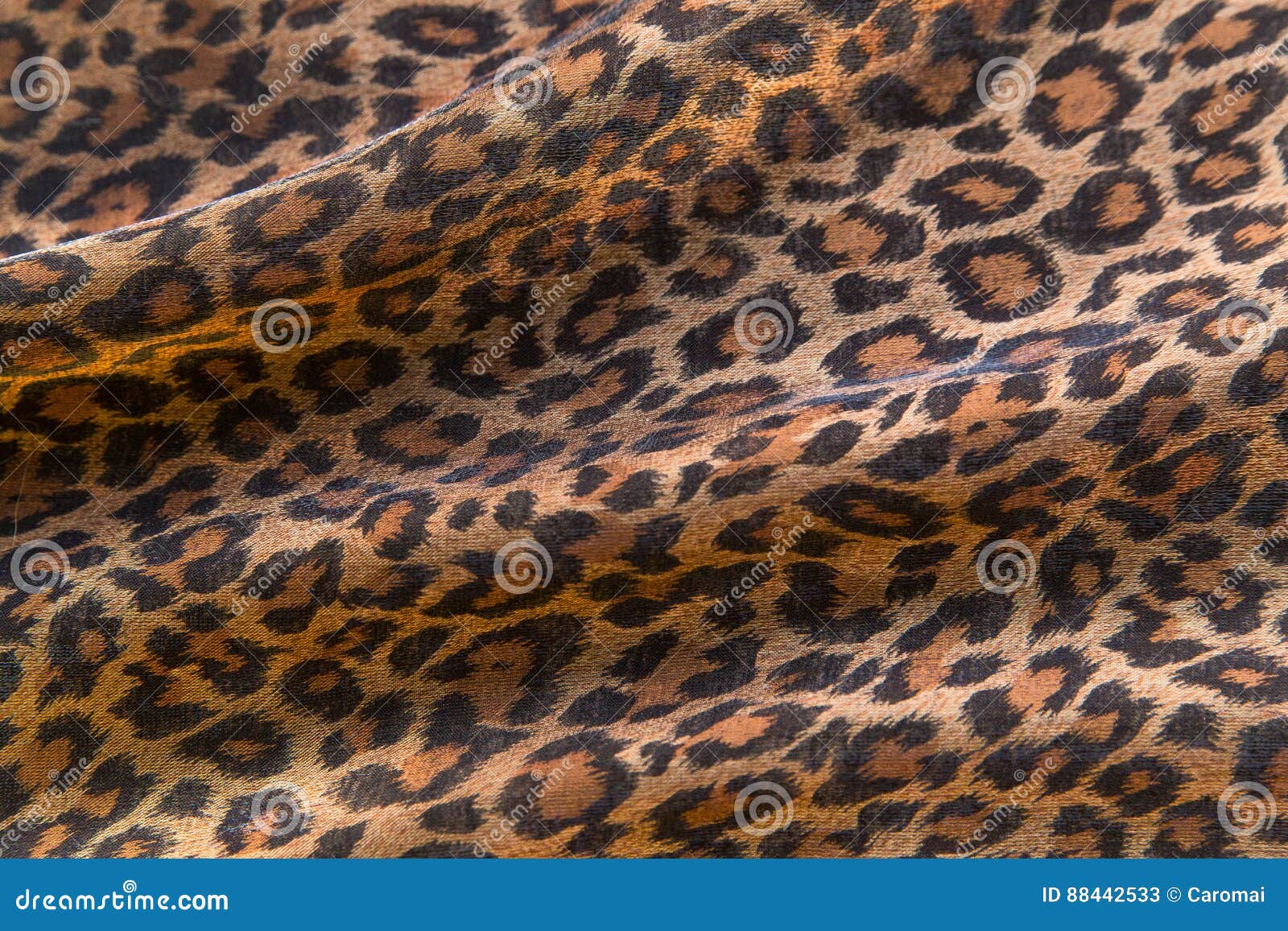 Leopard pattern background stock image. Image of wildlife - 88442533