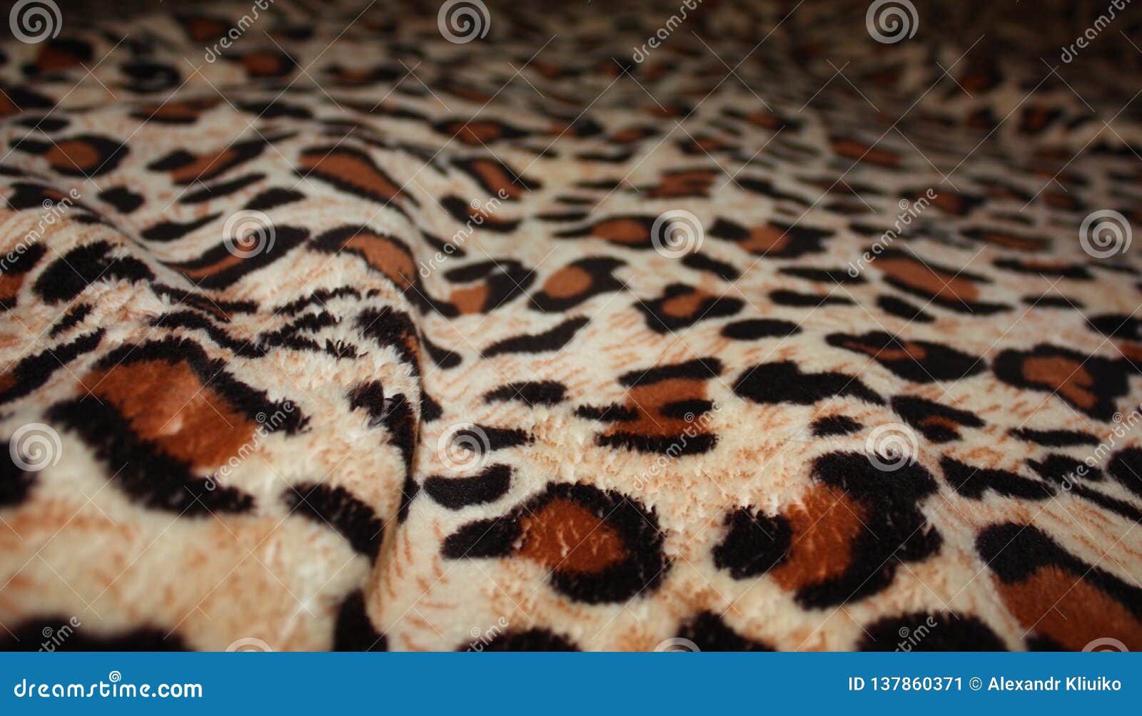 Leopard Pattern on Fabric Blanket Stock Image - Image of abstract ...