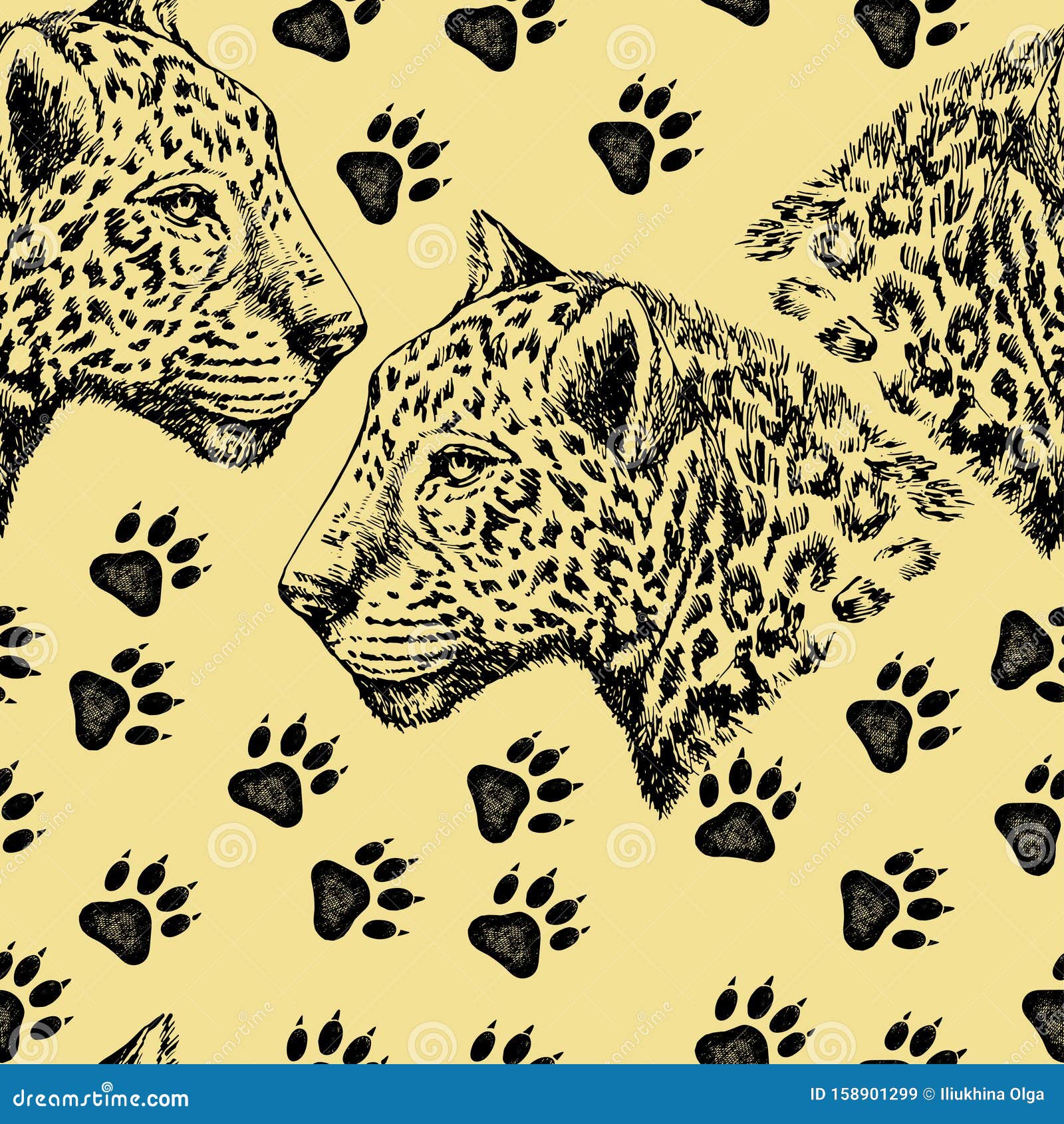 Leopard and Paw Prints Pattern Stock Illustration - Illustration of ...