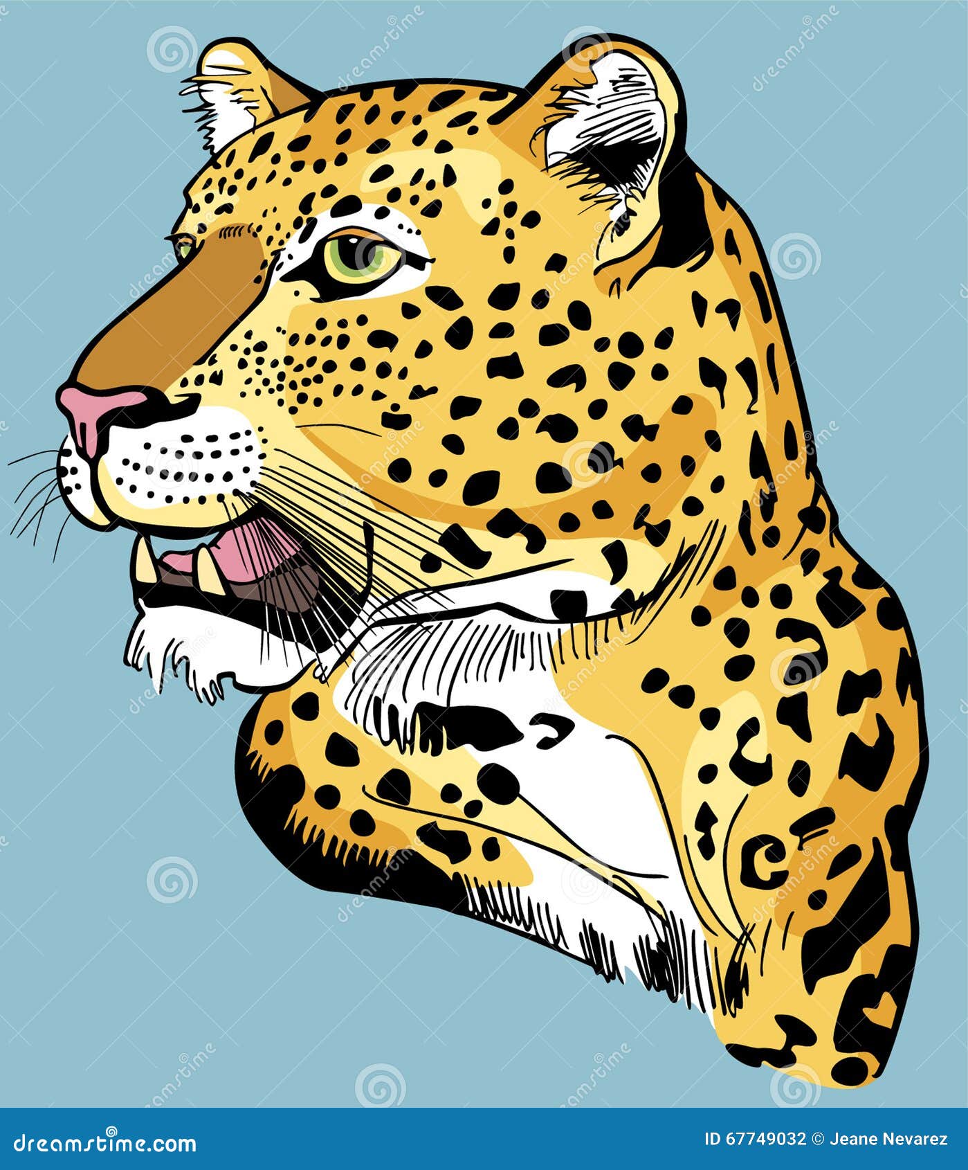 Leopards Head Shield Mascot Logo Stock Image | CartoonDealer.com #249986227