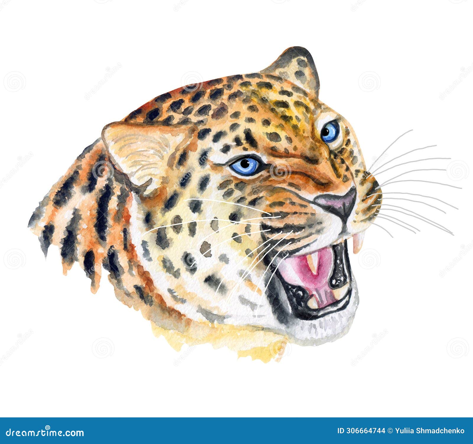 Leopard. Portrait of a Wild Cat. Aggressive Leopard. Watercolor Stock ... Leopard. Portrait of a Wild Cat. Aggressive Leopard. Watercolor Stock ...
