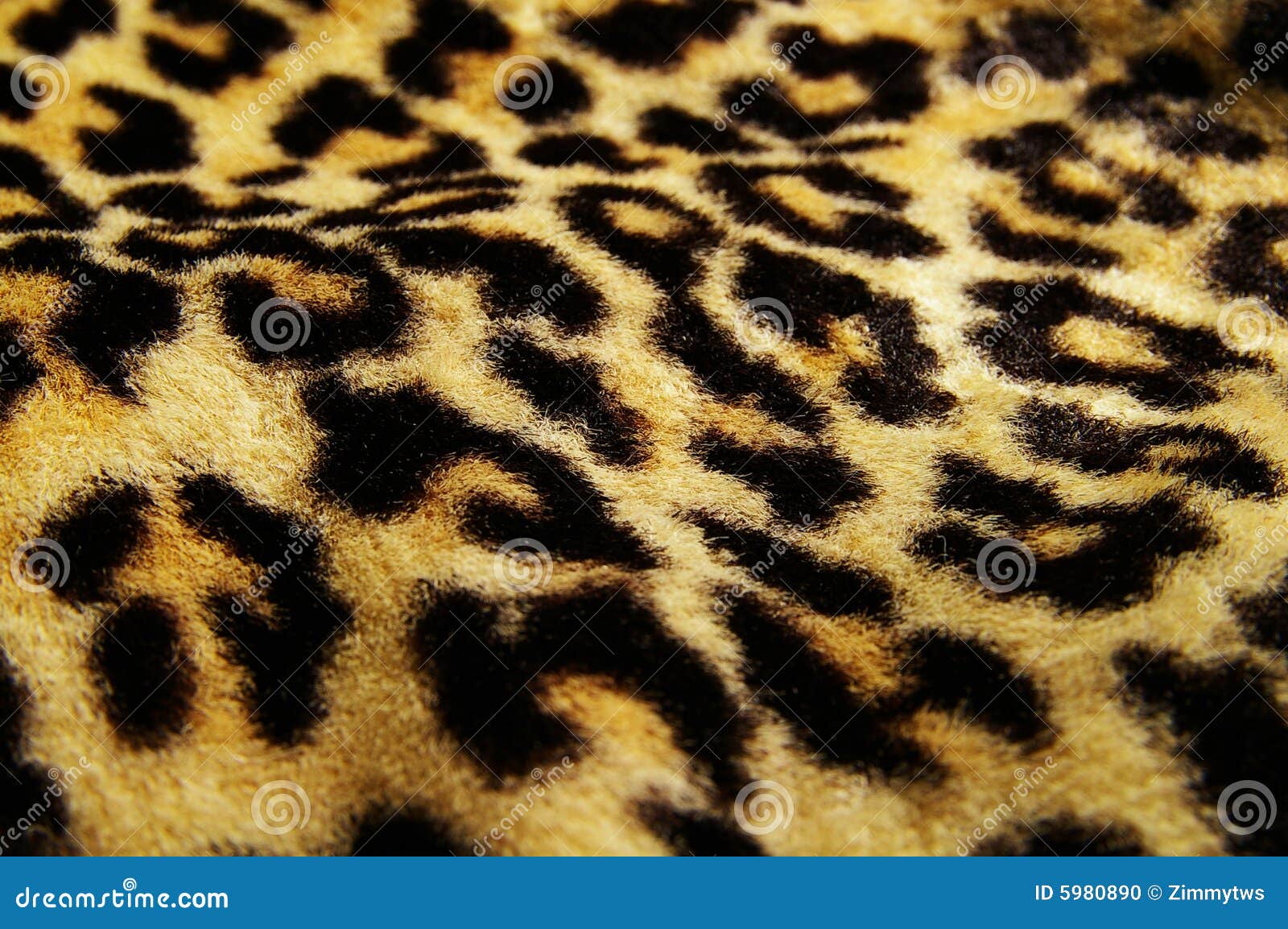 Leopard print stock photo. Image of furry, leopard, hair - 5980890
