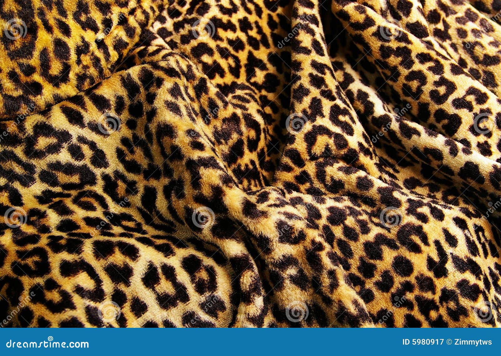 Leopard print stock image. Image of fuzz, nature, fashion - 5980917
