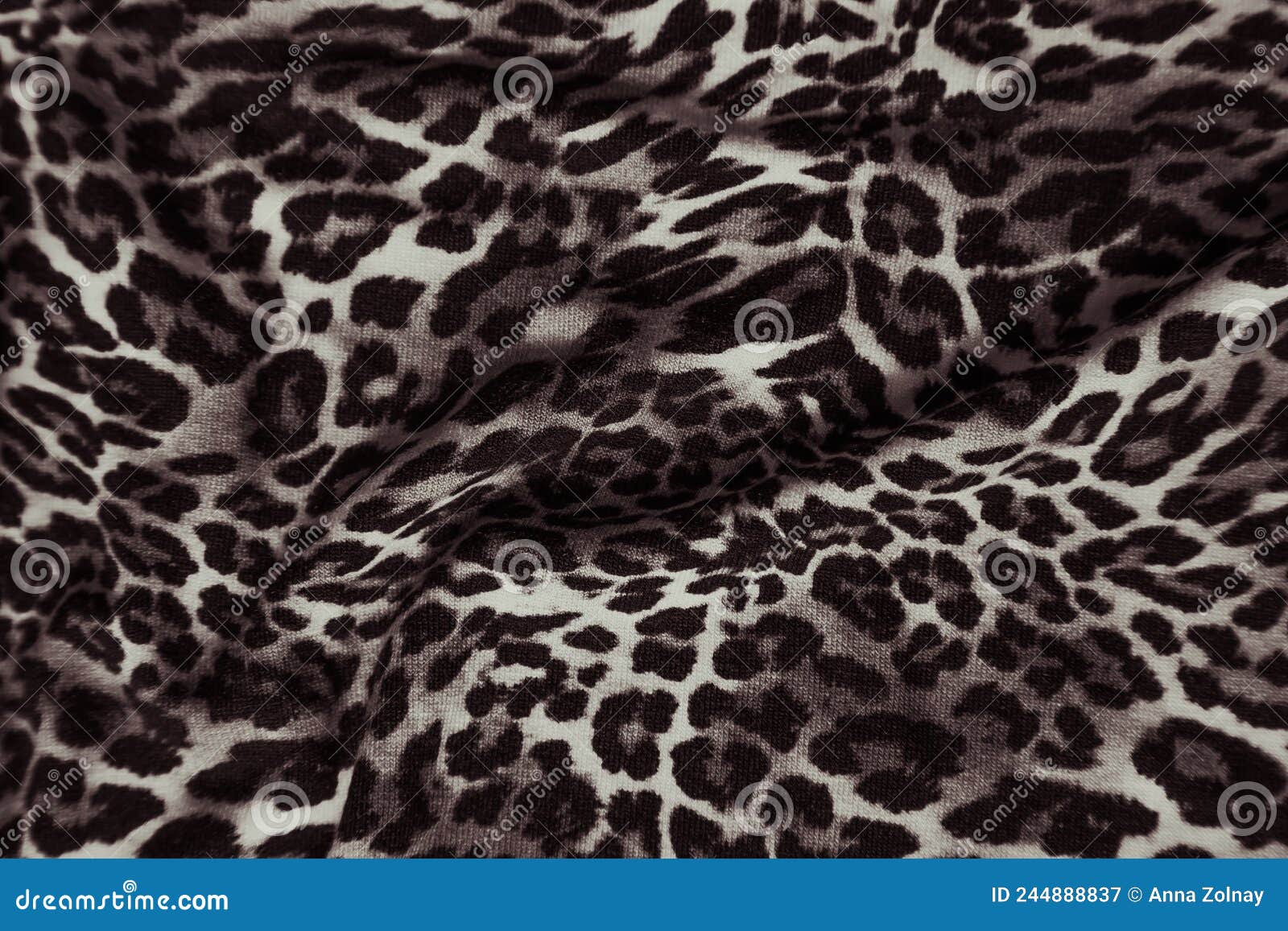 Leopard Print Picture Leopard Print Image Cloth Pattern Texture in Dark ...