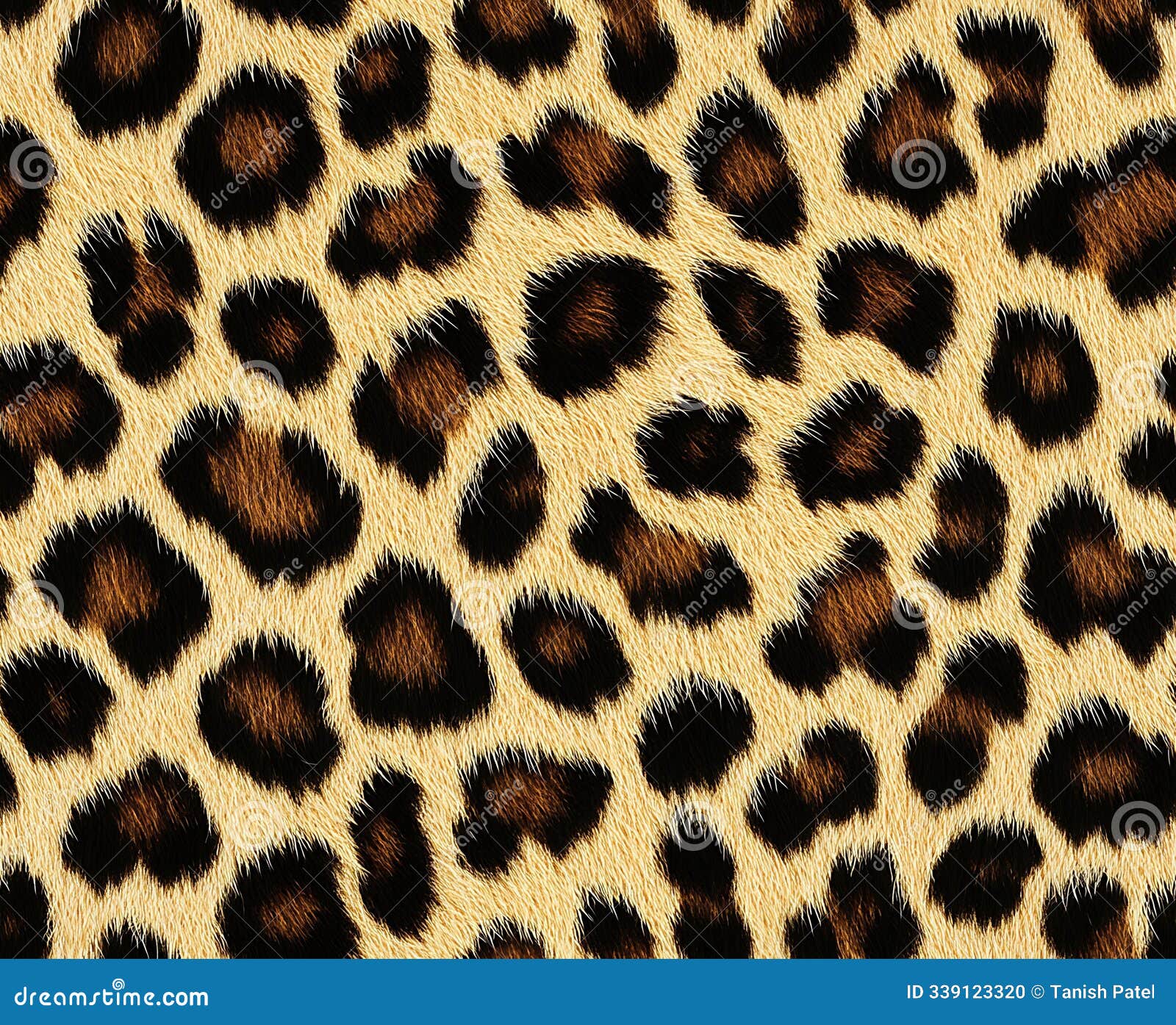 Leopard Print Seamless Pattern Stock Illustration - Illustration of ...