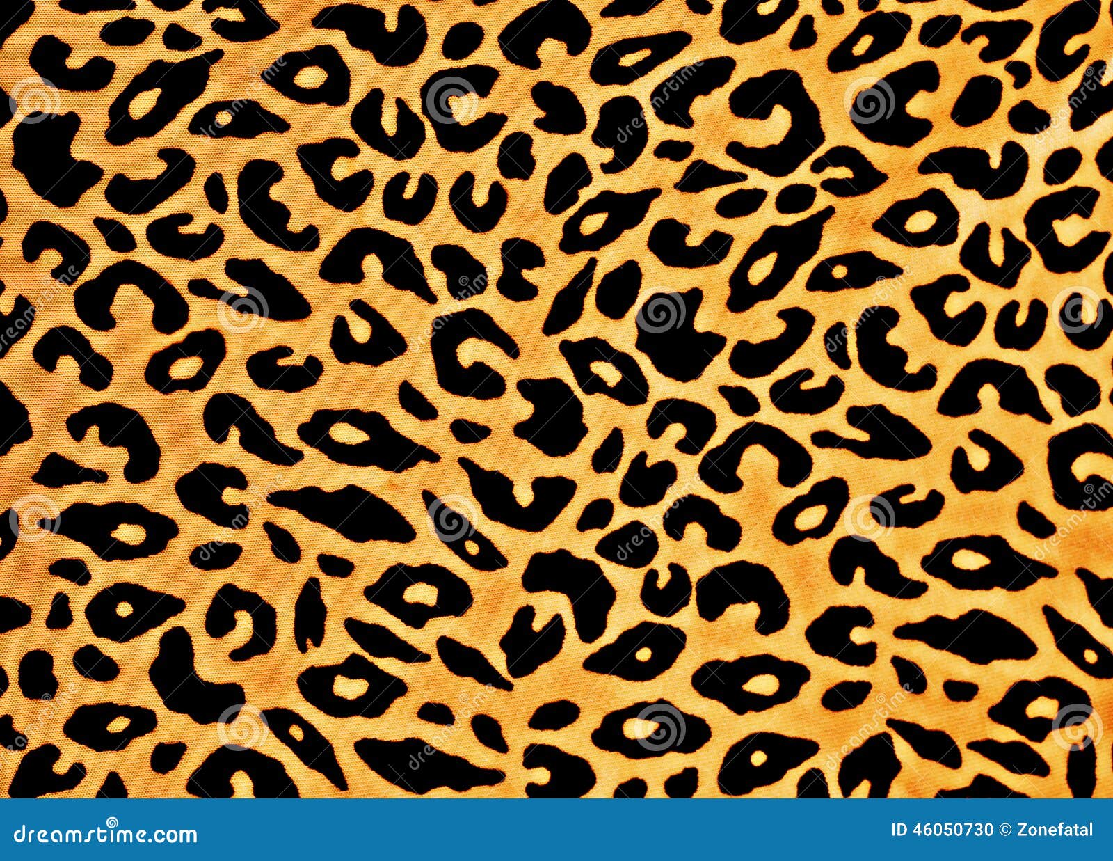 Leopard Print stock illustration. Illustration of macro - 46050730