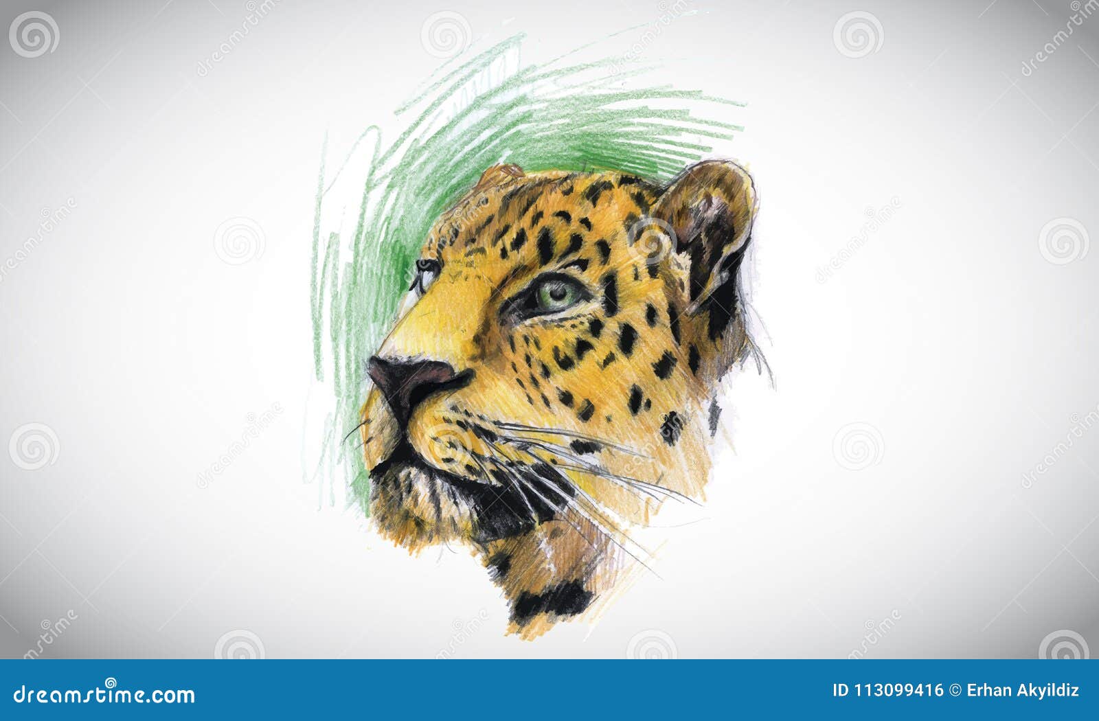 Leopard Realistic Drawing Vector Stock Illustration - Illustration of ...