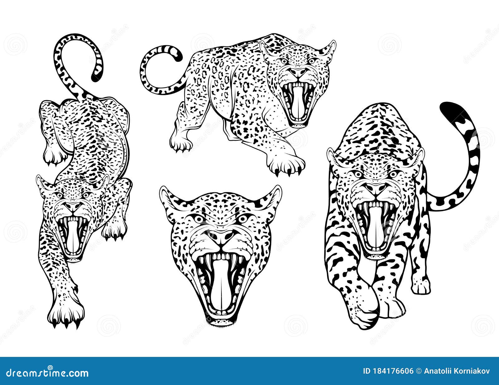 Angry Leopard Drawing