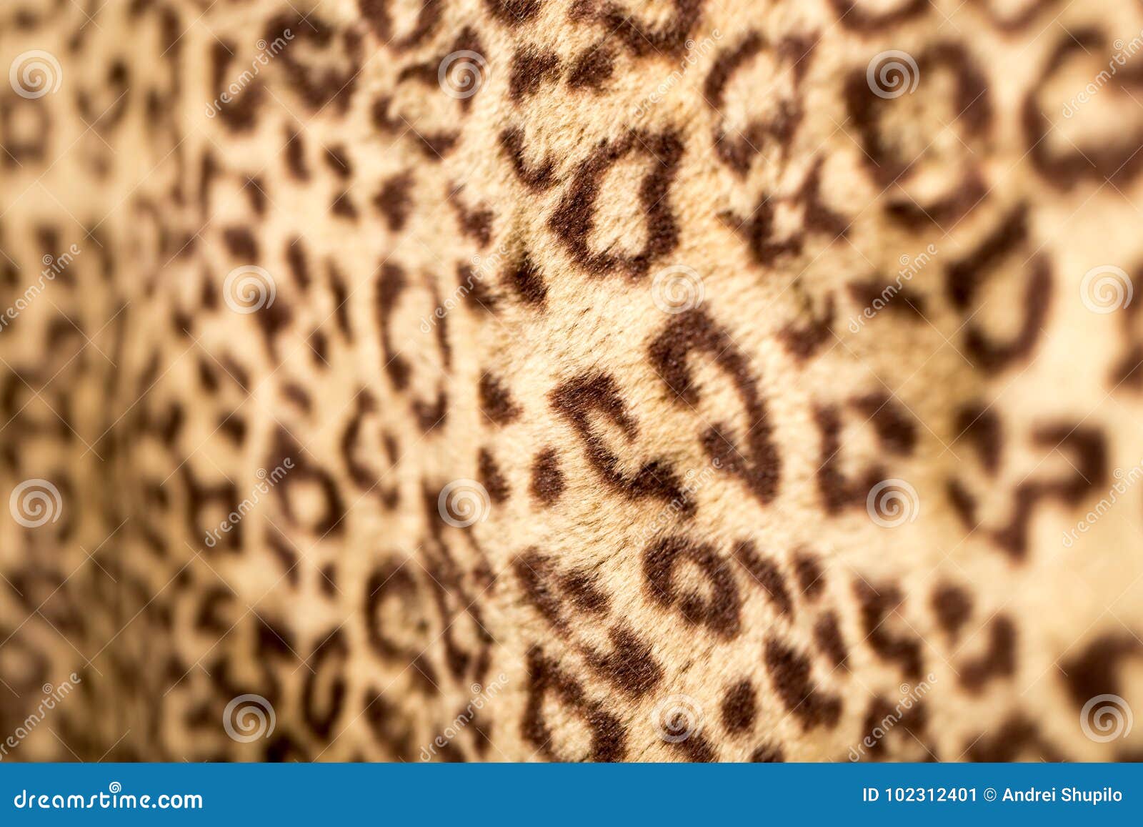Leopard Skin stock image. Image of hide, pelt, africa - 102312401