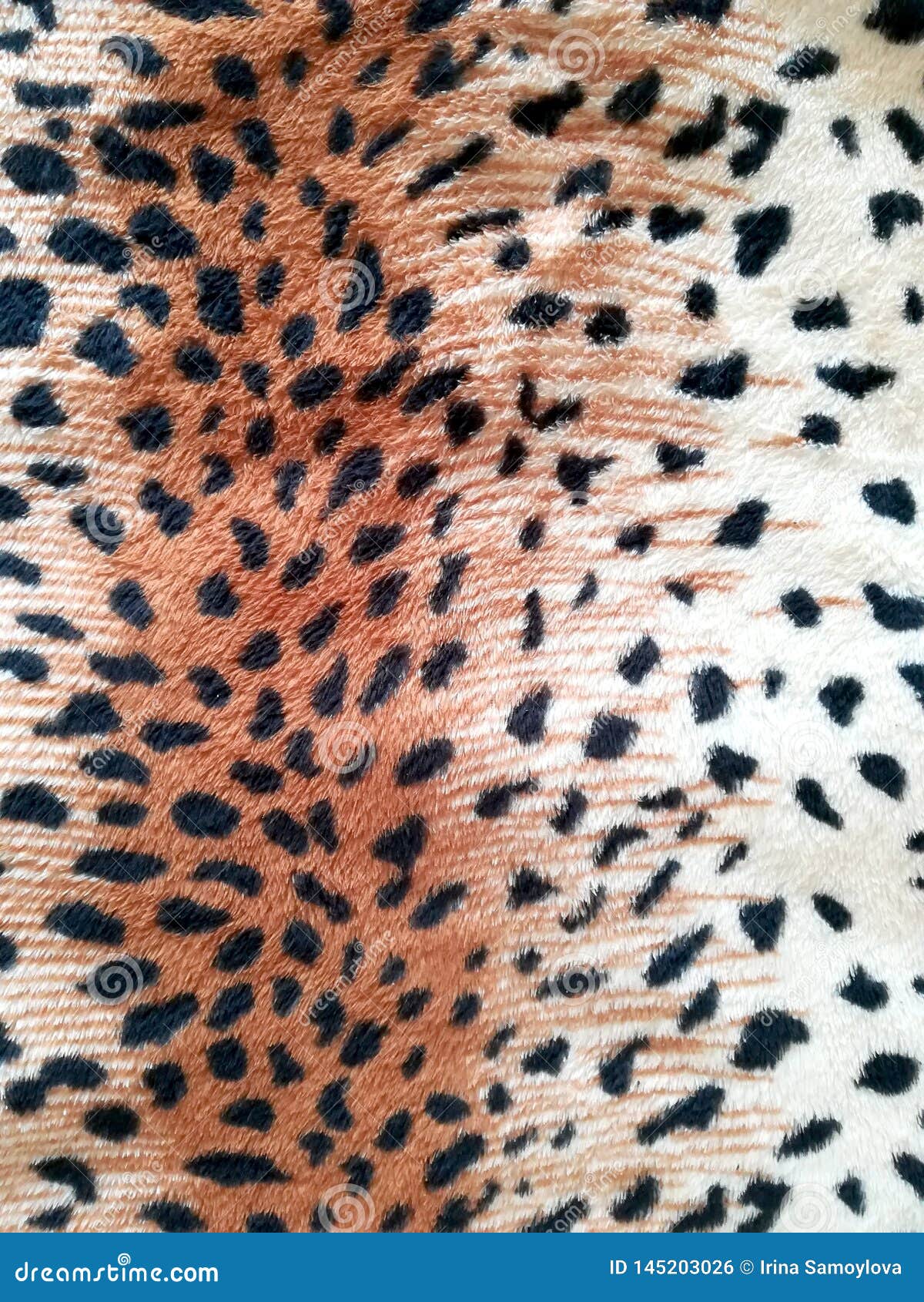 Leopard Skin Pattern Closeup Background Animal Fur Stock Photo - Image ...