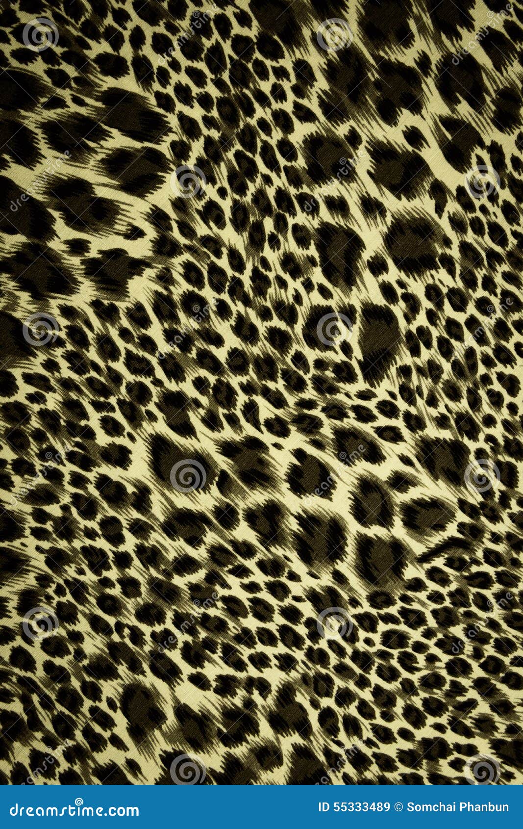 Leopard Skin Pattern Texture Stock Image - Image of leather, clothing ...