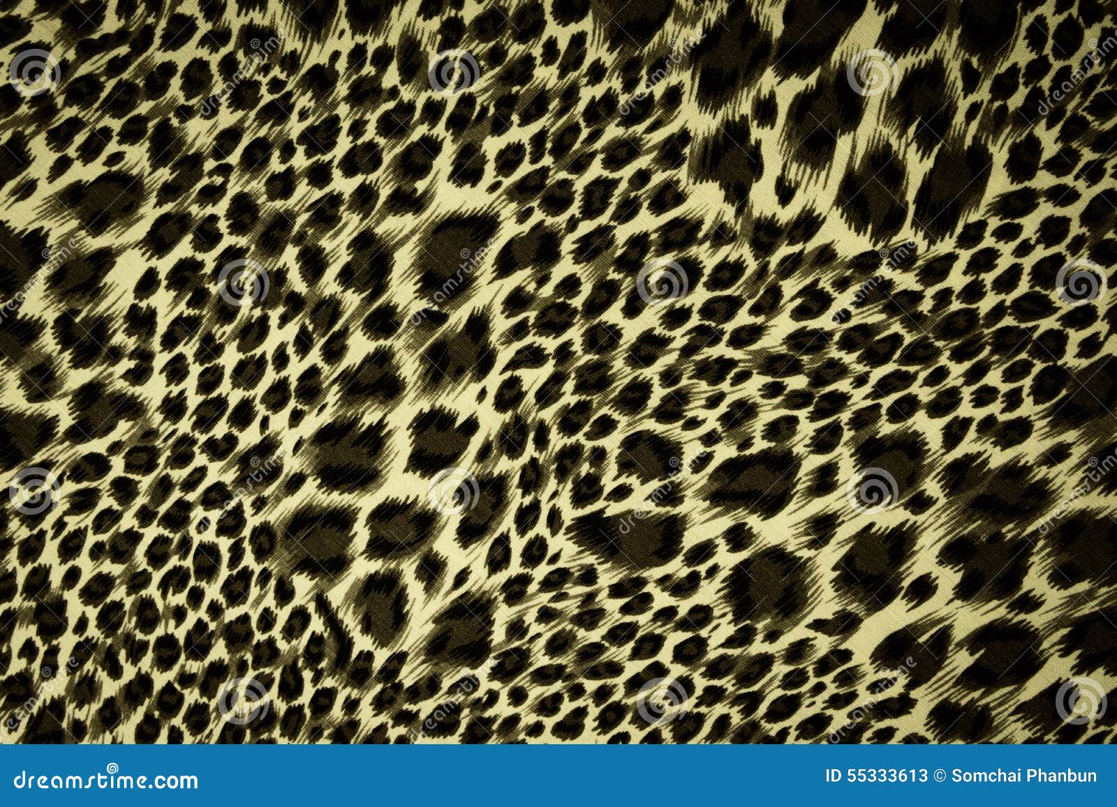 Leopard Skin Pattern Texture Stock Image - Image of decor, black: 55333613