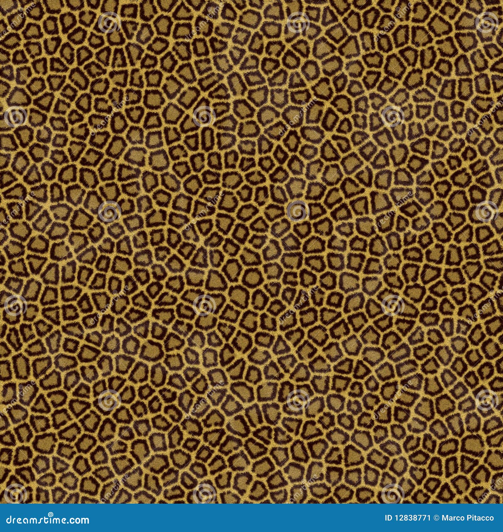 Leopard skin texture stock illustration. Illustration of safari - 12838771