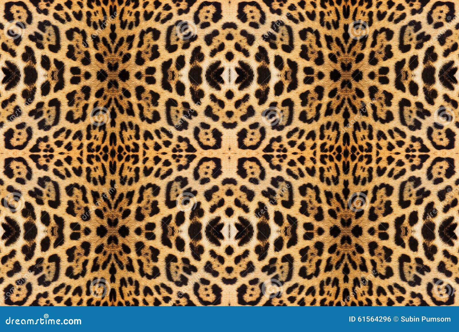 Leopard skin texture stock photo. Image of leather, ethnic - 61564296