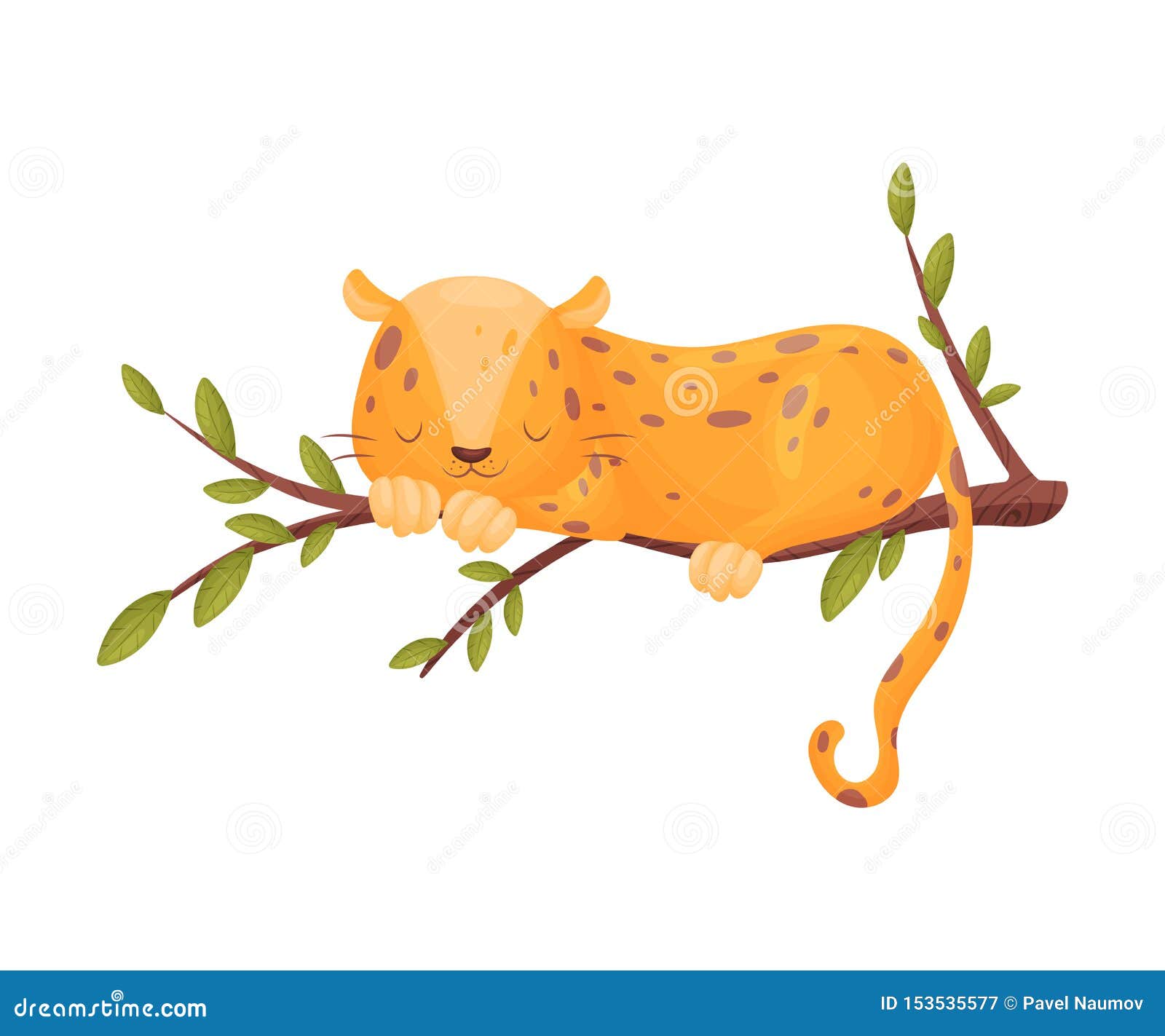 Leopard is Sleeping on a Branch. Vector Illustration on White ...
