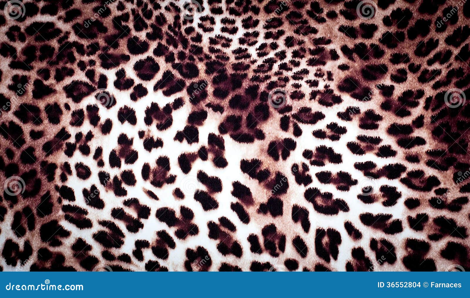 Leopard texture stock photo. Image of leather, background - 36552804