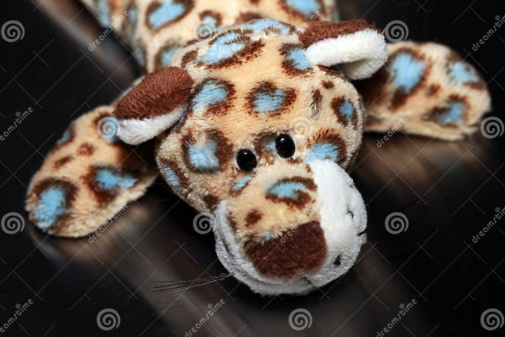 Leopard toy stock image. Image of isolated, leopard, lion - 10904899