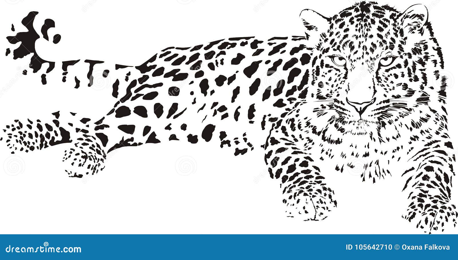 Leopard stock vector. Illustration of isolated, nature - 105642710