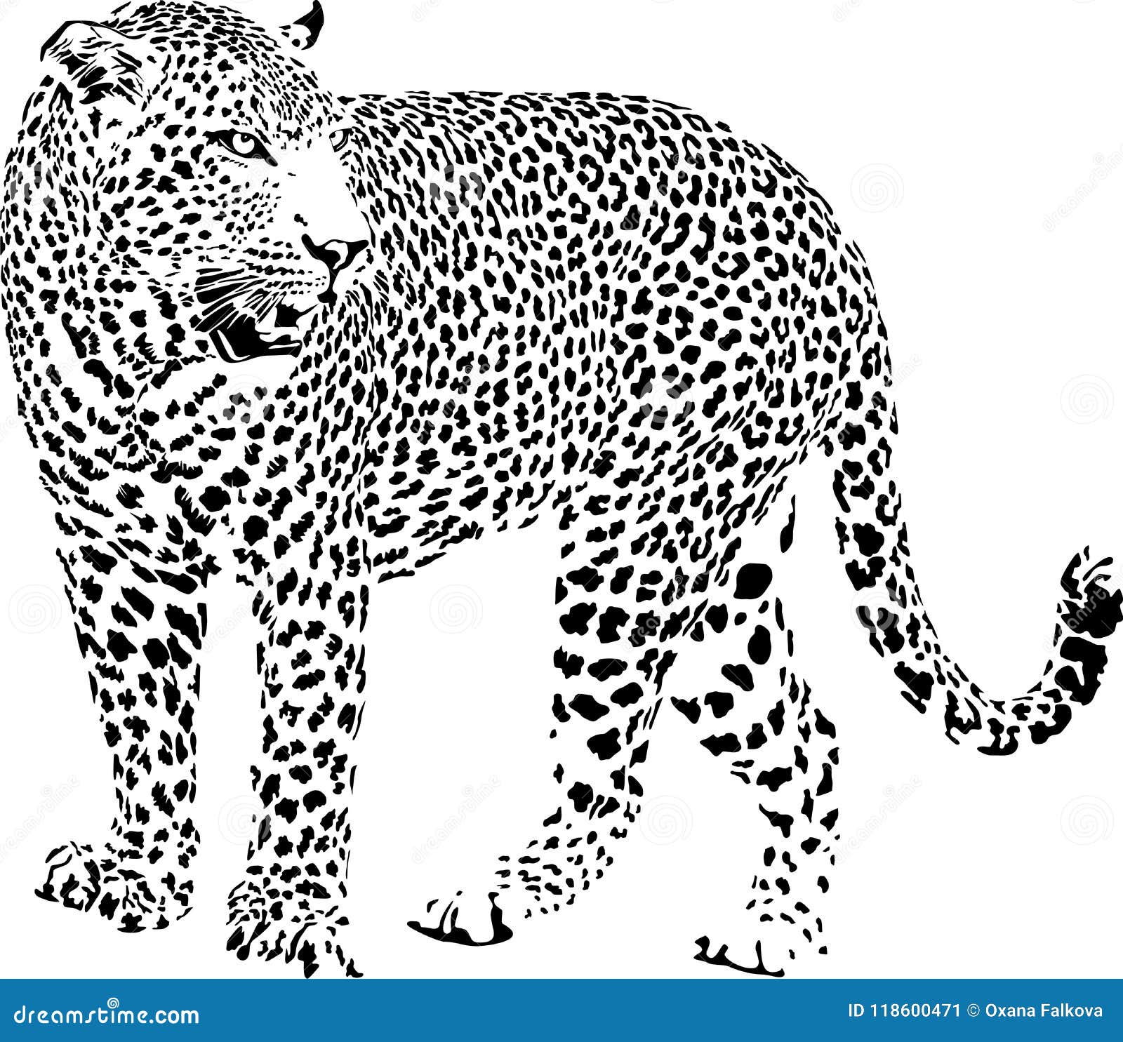 Leopard stock vector. Illustration of painting, africa - 118600471