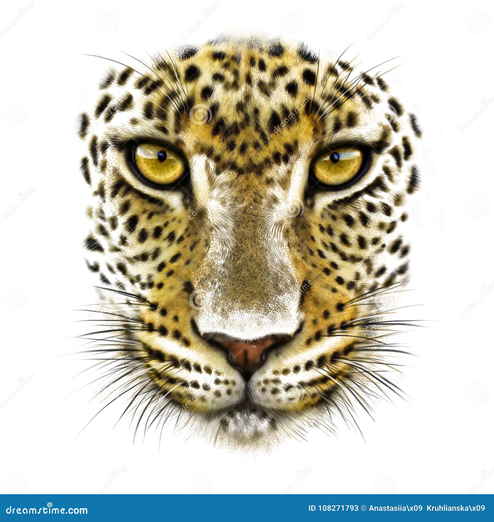 Leopard on white stock image. Image of drawing, graphic - 108271793