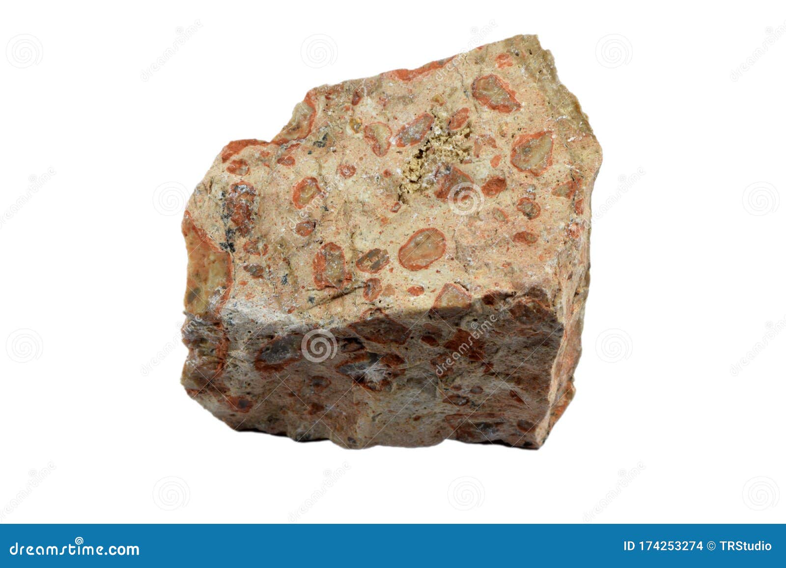 Leopardite Rough stock photo. Image of rock, semiprecious - 174253274