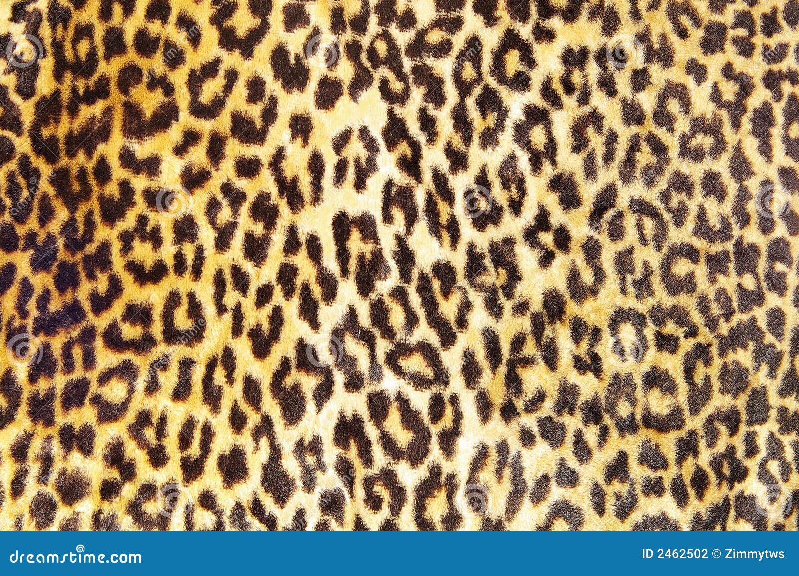 Leopardmuster stockfoto. Bild von hintergrund, tier, muster - 2462502