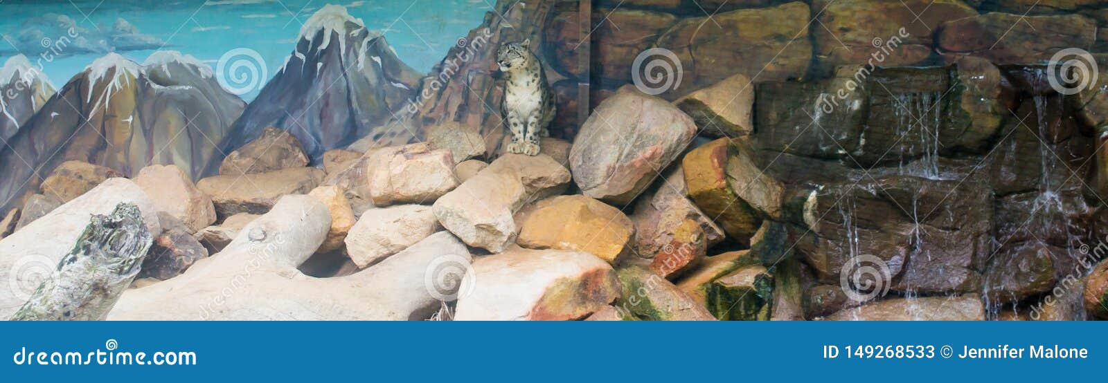 The Leopards Den stock image. Image of stripes, rocks - 149268533