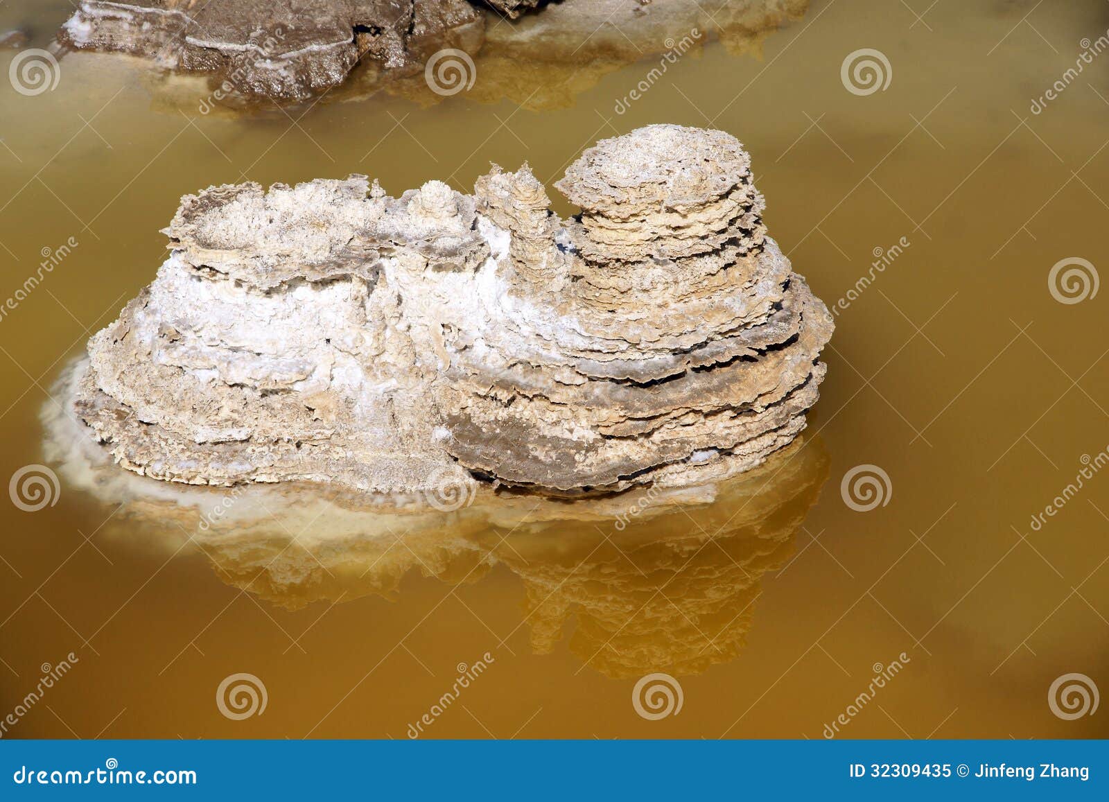 Leopoldite blossom stock image. Image of leopoldite, sylvine - 32309435