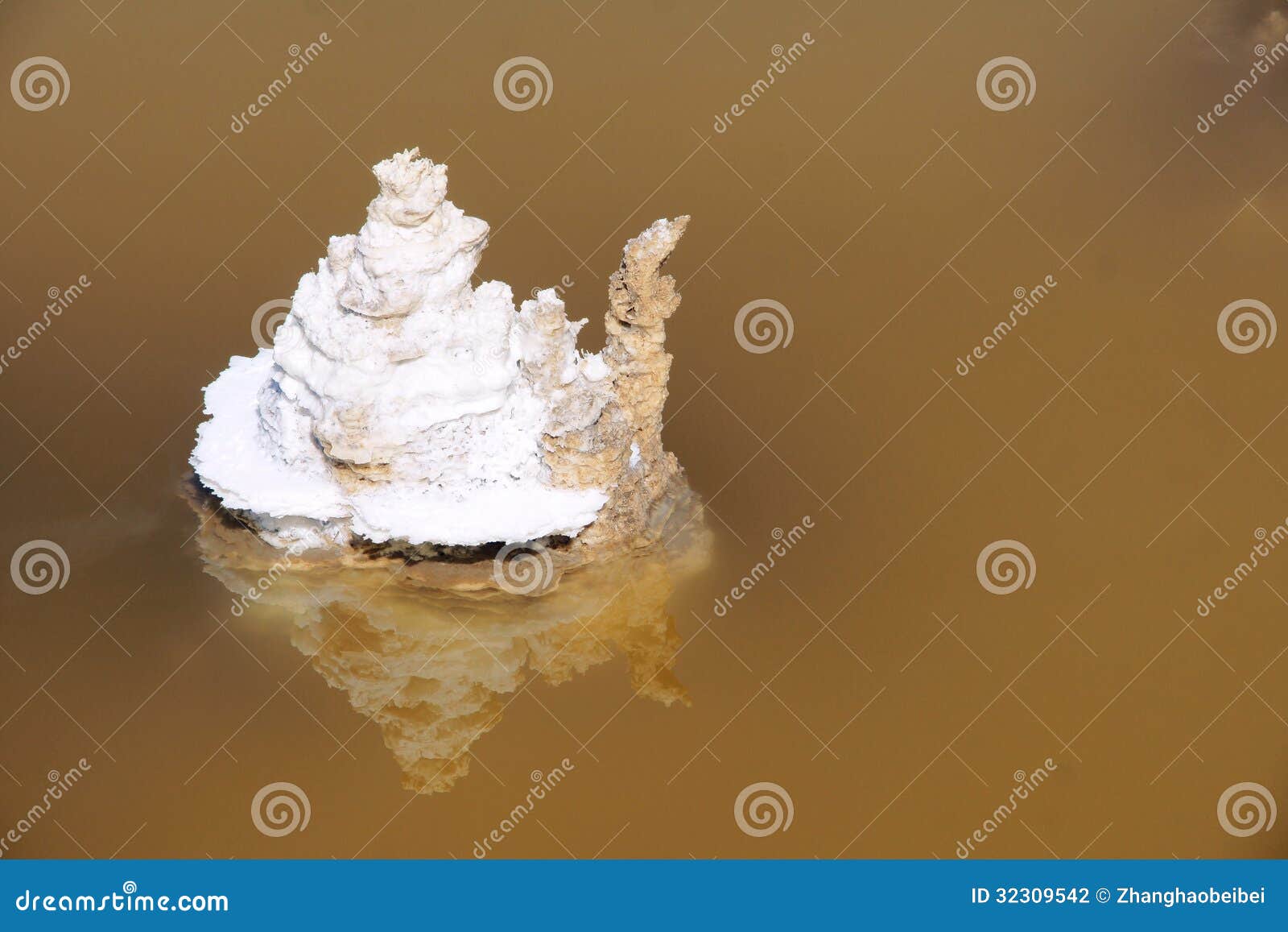 Leopoldite flower stock photo. Image of closeup, brine - 32309542