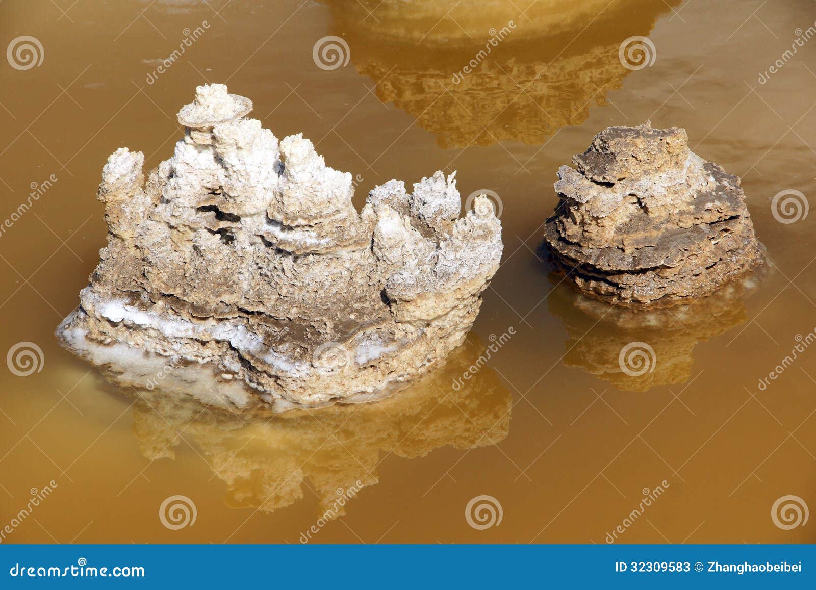 Leopoldite flower stock image. Image of natural, water - 32309583