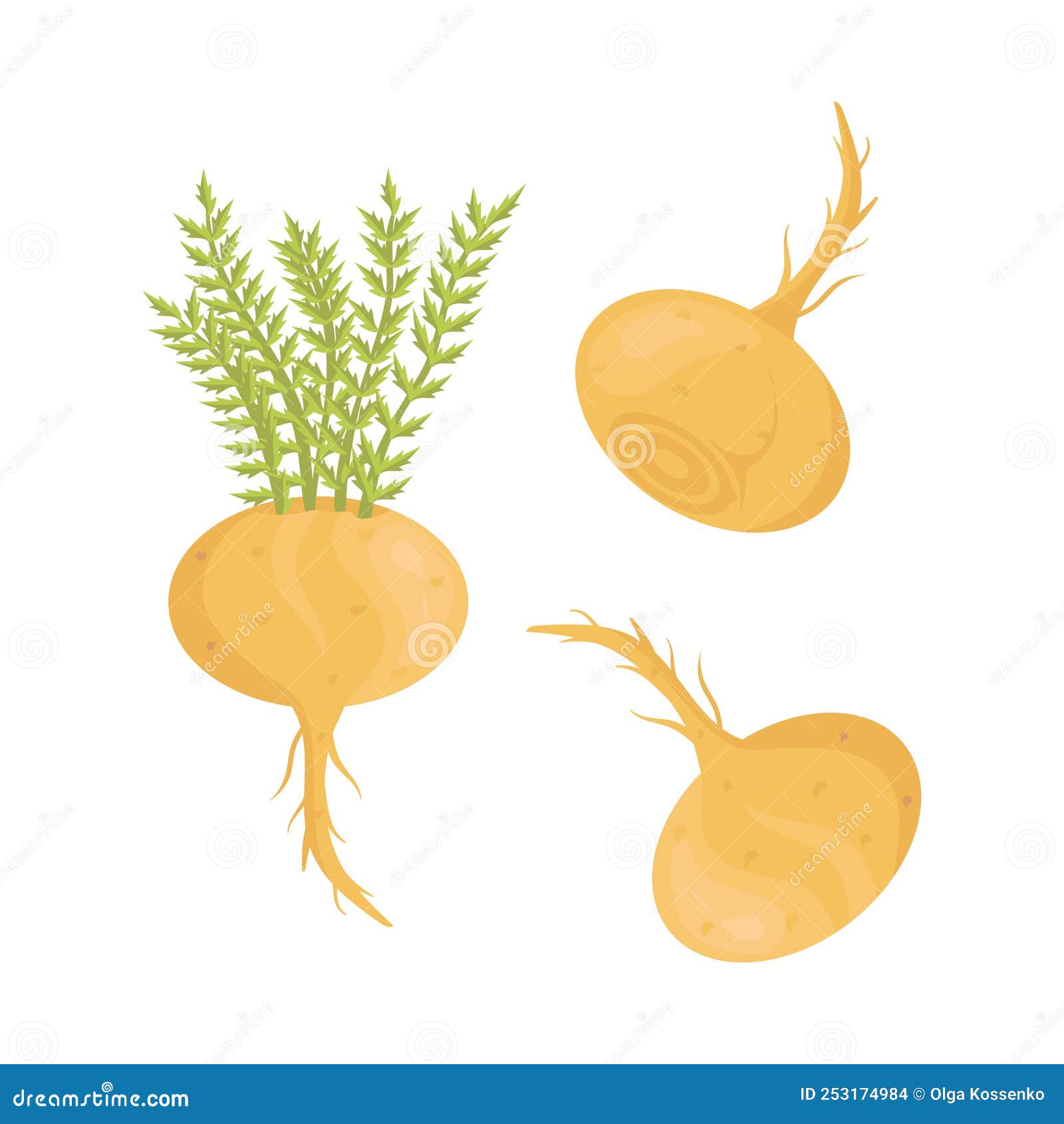 Maca Logo. Round Linear Logo Of Maca Superfood Cartoon Vector | CartoonDealer.com #198158251