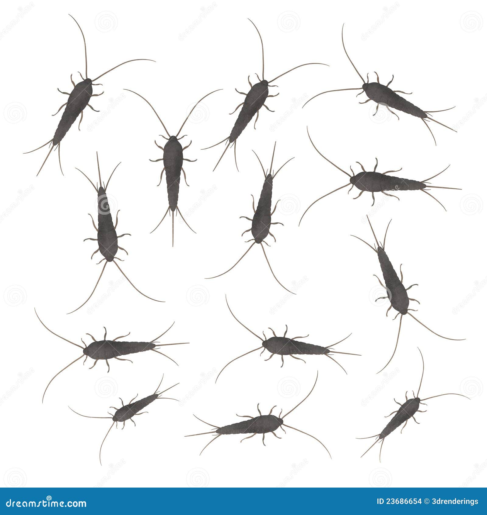 Silverfish Or Lepisma Saccharina Cartoon Vector | CartoonDealer.com ...