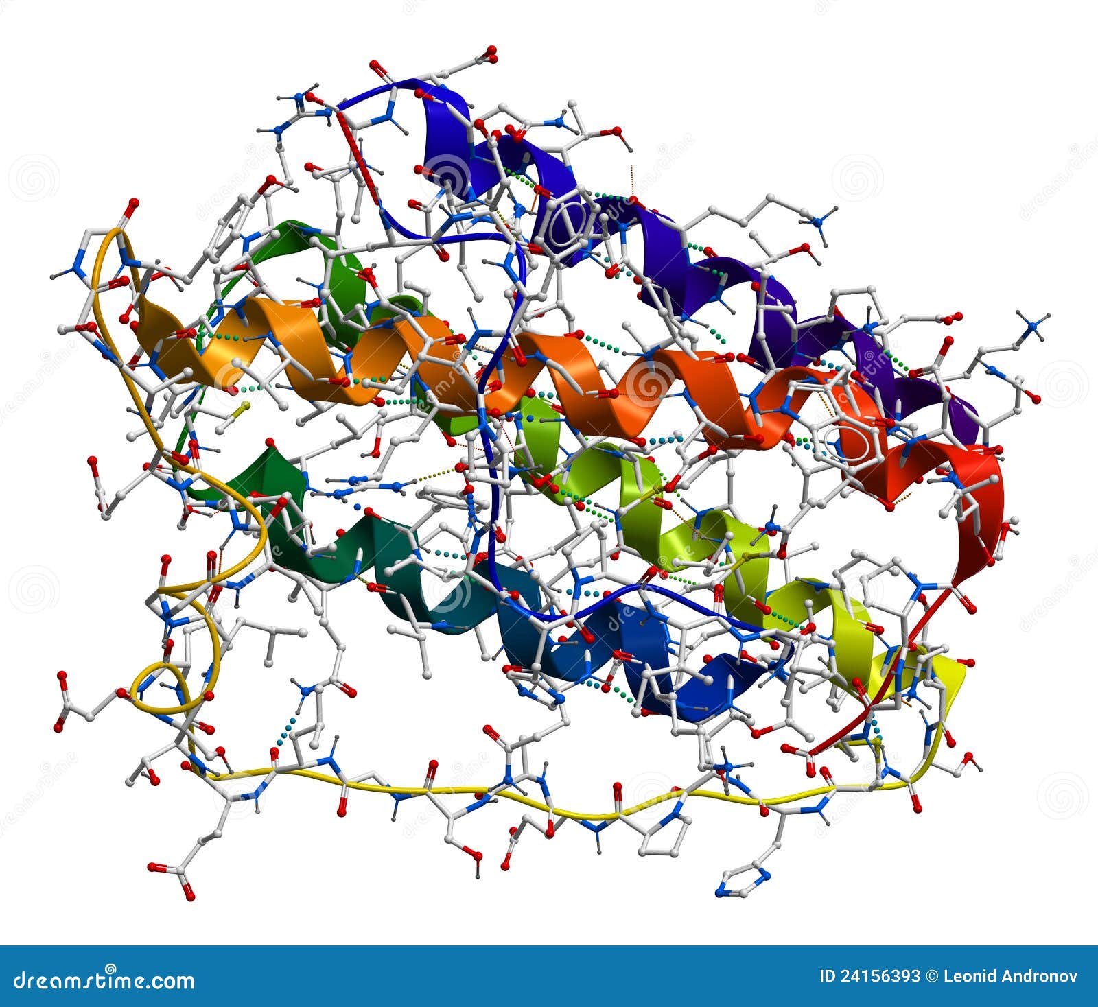 Human Protein Structure. Illustration Vector. | CartoonDealer.com ...