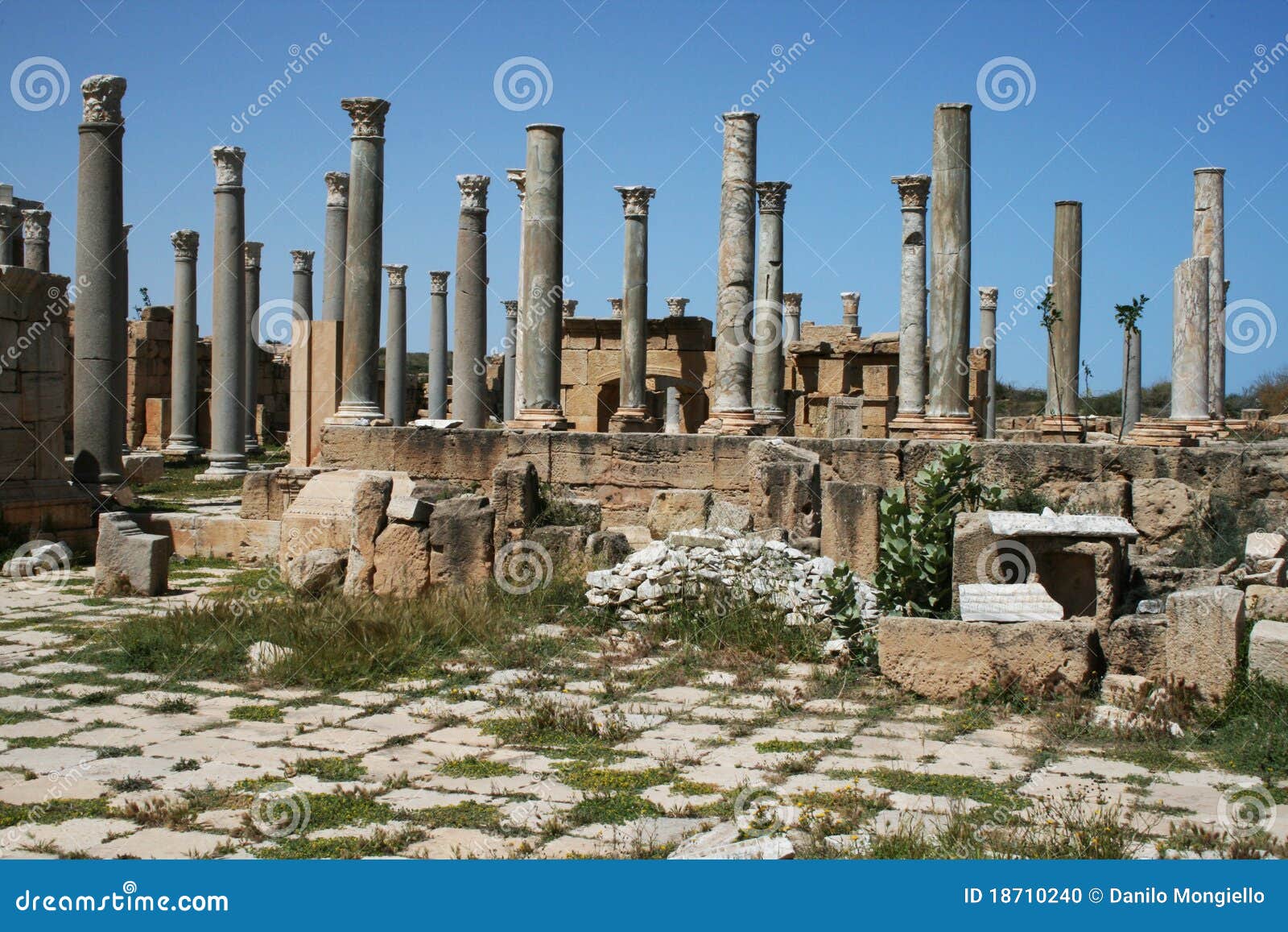 Leptis magna stock photo. Image of history, architecture - 18710240