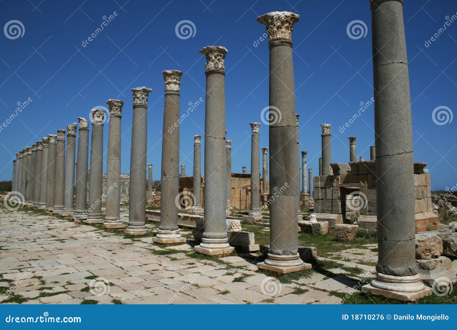 Leptis magna stock photo. Image of stones, ancient, archaeological ...