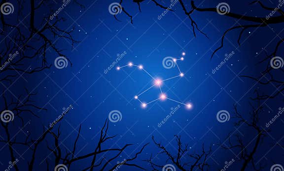 Lepus Constellation. Tree Branches, Starry Sky Stock Vector ...