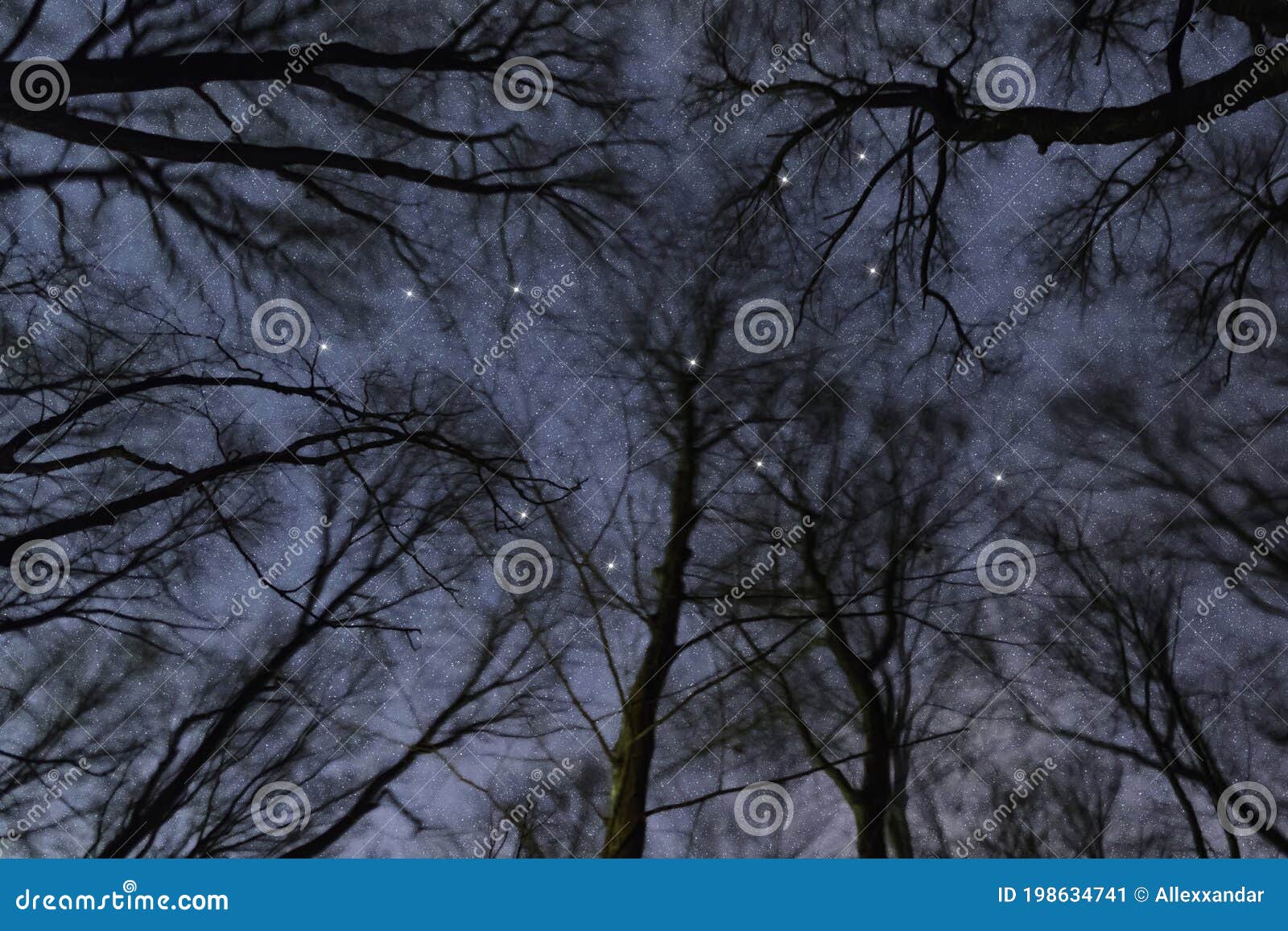Lepus Star Constellation, Night Sky, Cluster of Stars, Deep Space, Hare ...