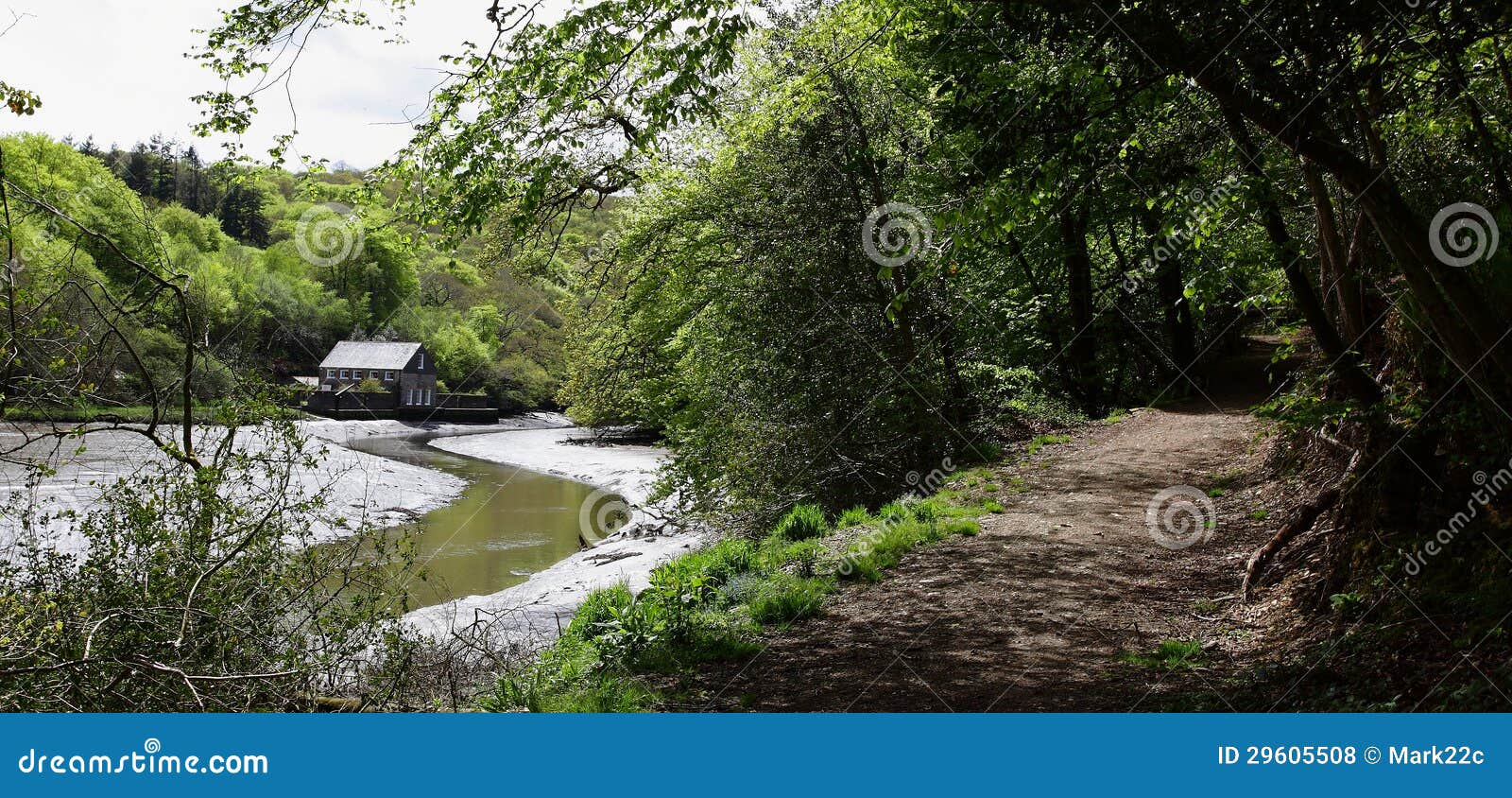 Lerryn river stock photo. Image of country, river, lerryn - 29605508