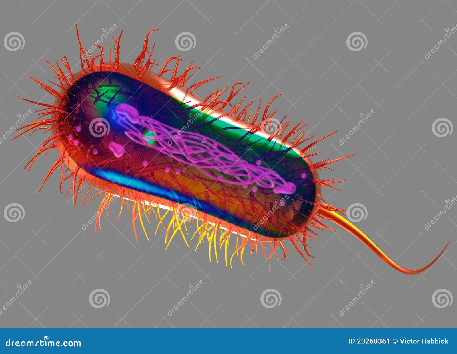 Les bactéries 3d rendent illustration stock. Illustration du organisme ...