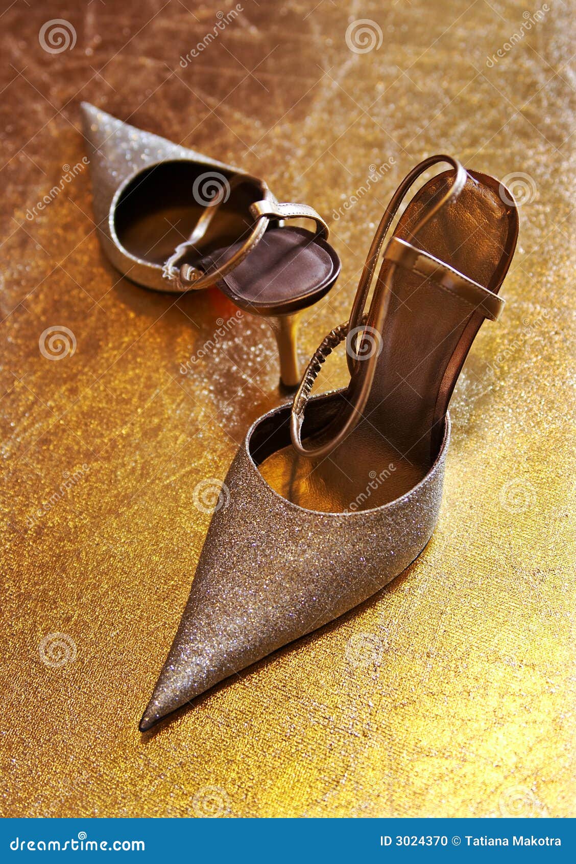 Les Chaussures Des Dames Sur Des Talons Photo stock - Image du robe ...