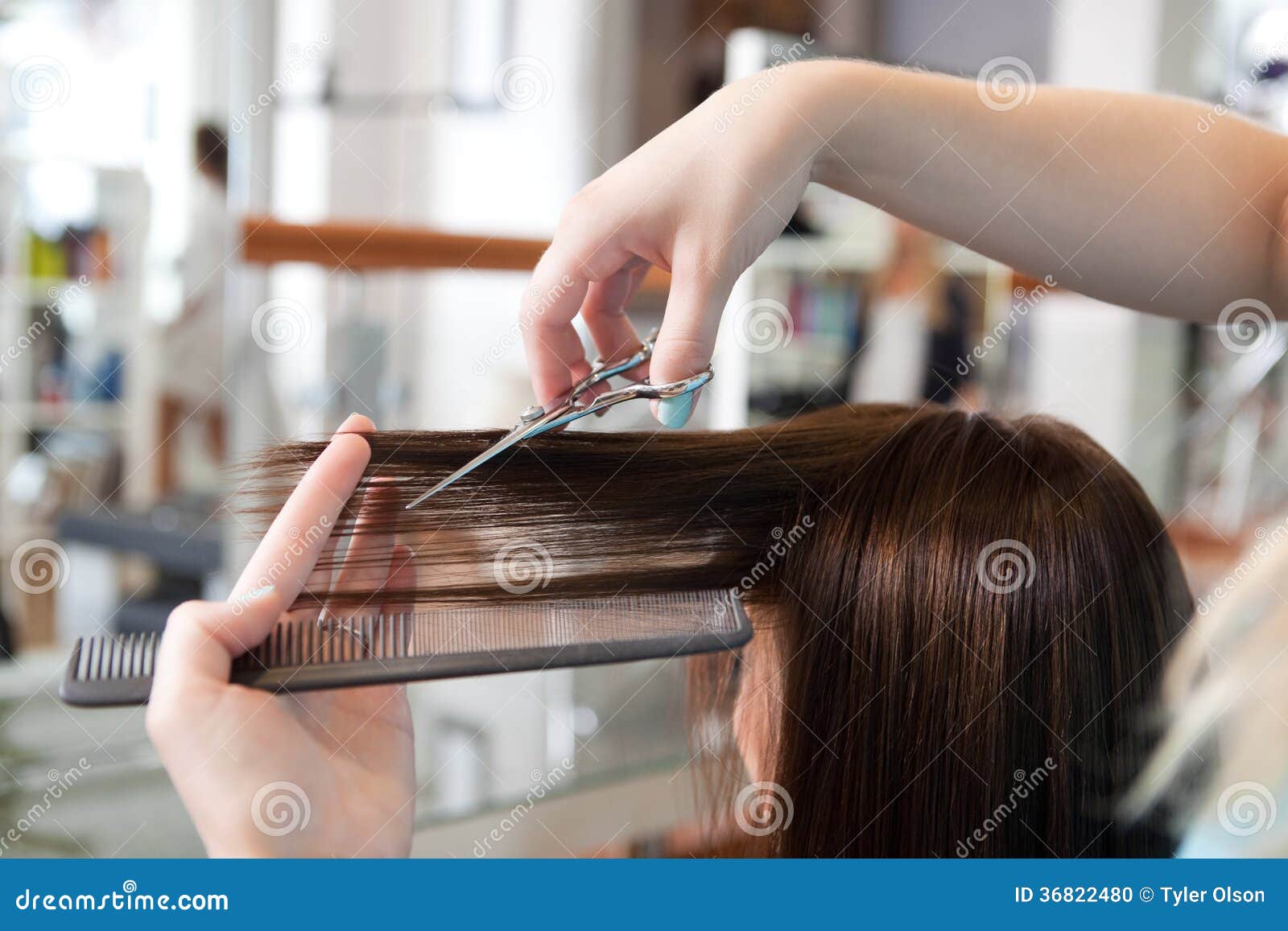 Les Cheveux De Cutting Client De Coiffeur Photo stock - Image du ...