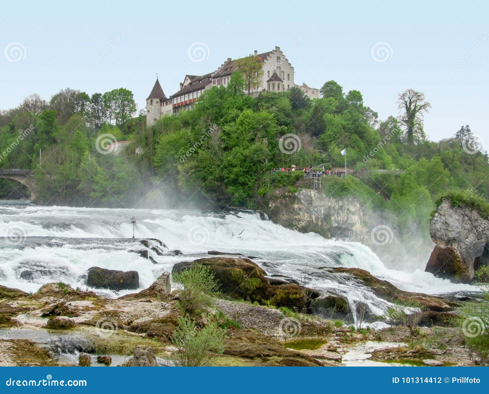 Les Chutes Du Rhin En Suisse Photo stock - Image du watercourse ...
